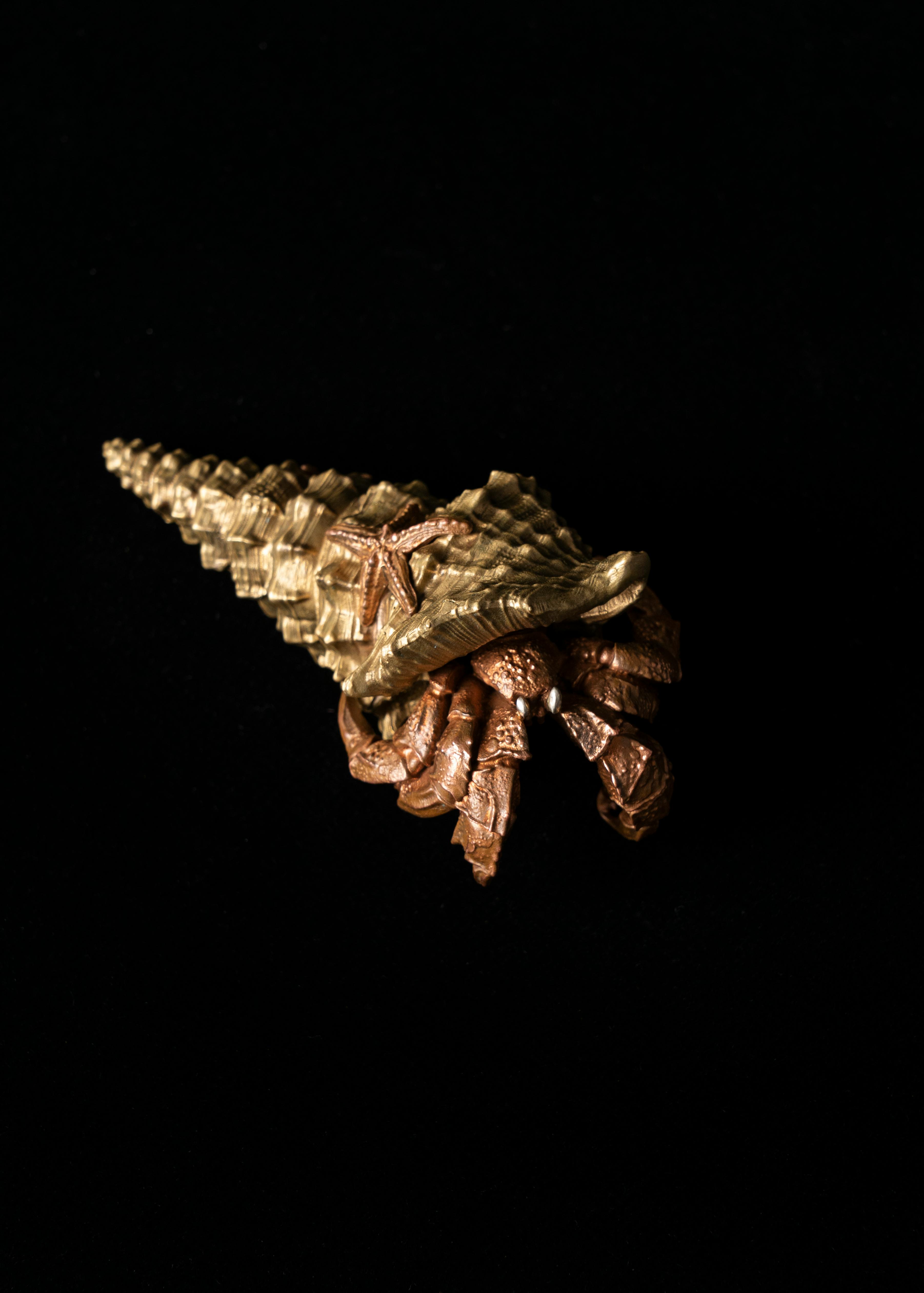 Black Mambo Snake Photos, Download The BEST Free Black Mambo Snake ...