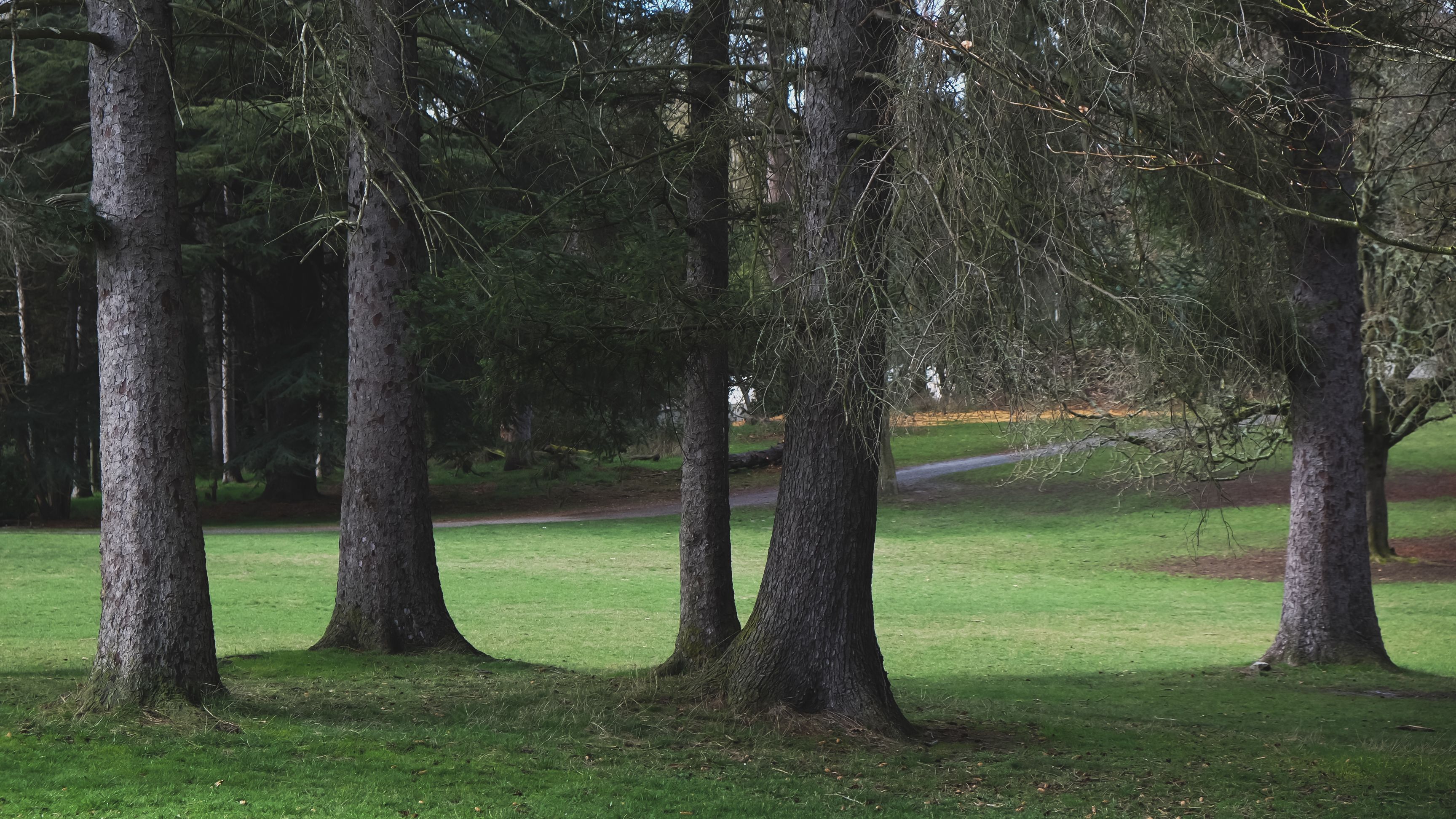 Green Park Photos, Download The BEST Free Green Park Stock Photos & HD ...