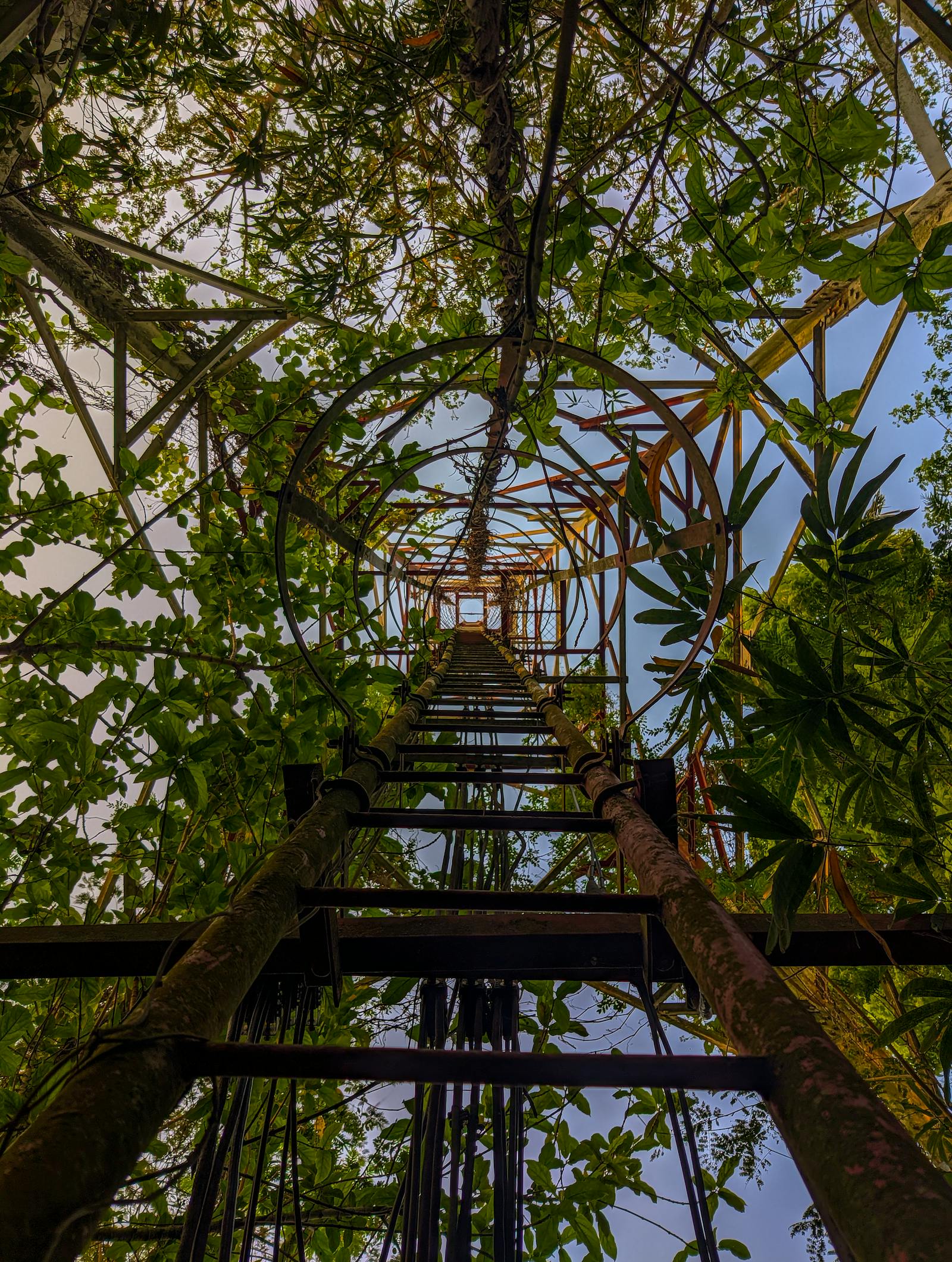 Ladder Perspective Photos, Download The BEST Free Ladder Perspective ...