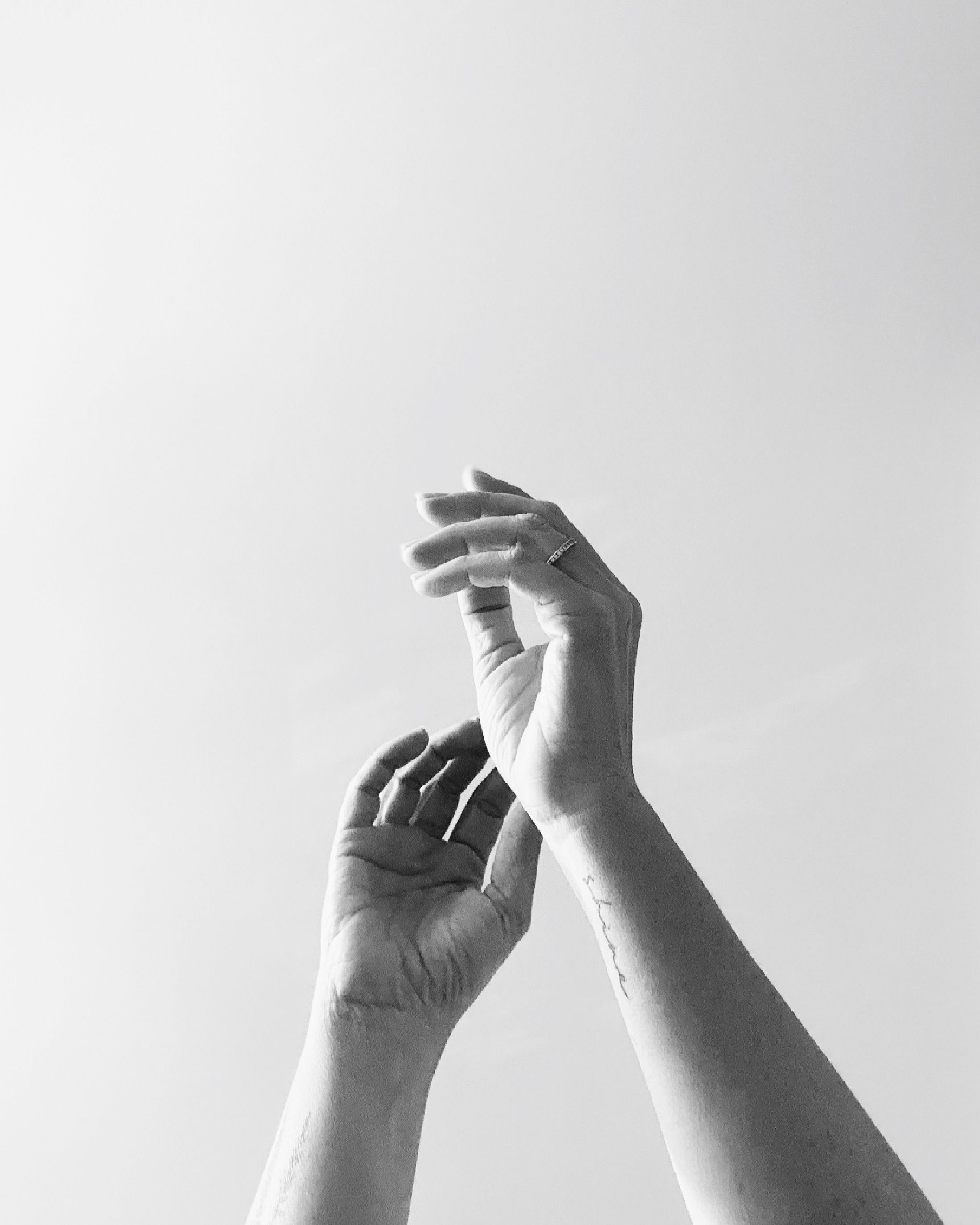 Hands on a White Background · Free Stock Photo