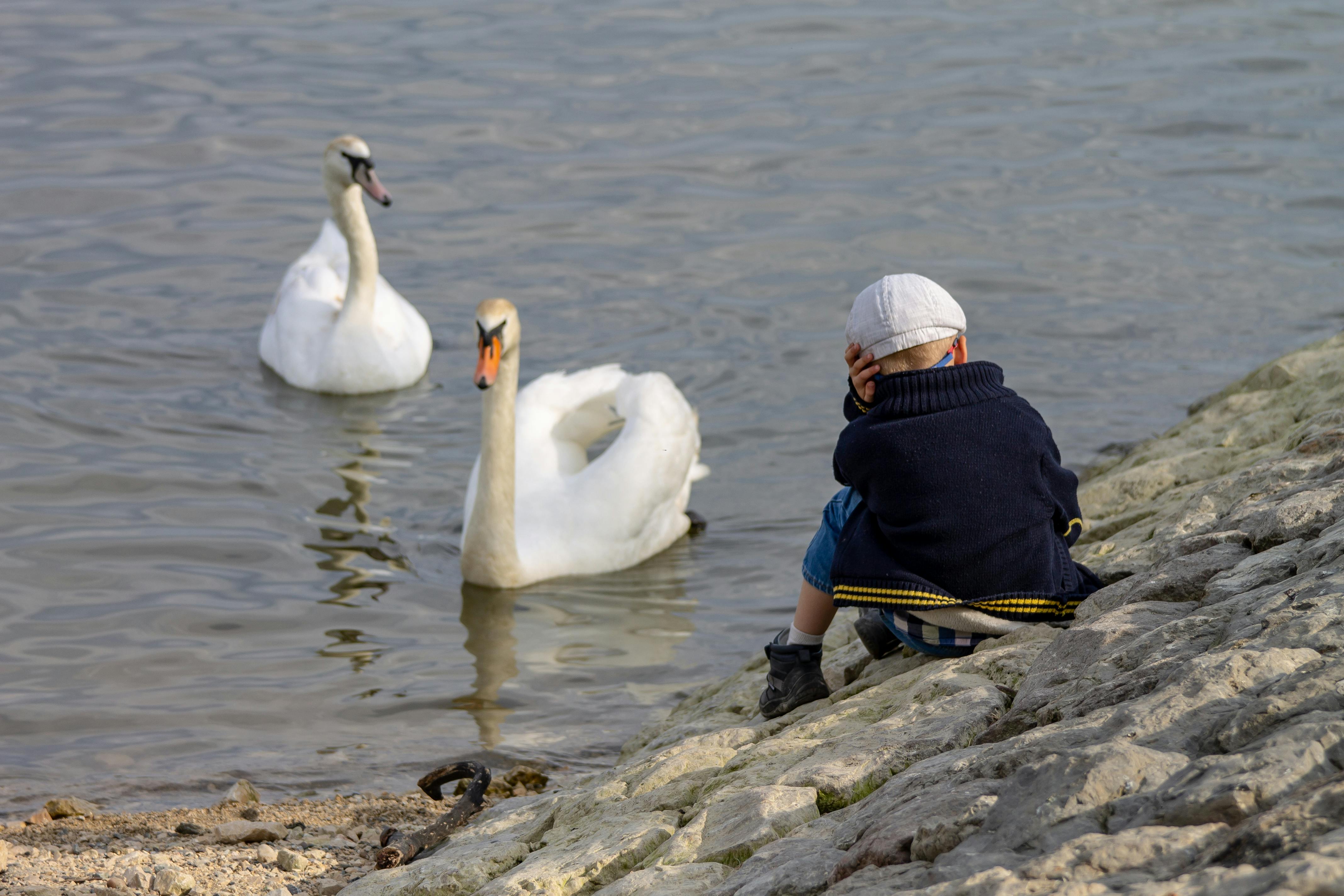 Sitting Birds Eye View Photos, Download The BEST Free Sitting Birds Eye ...