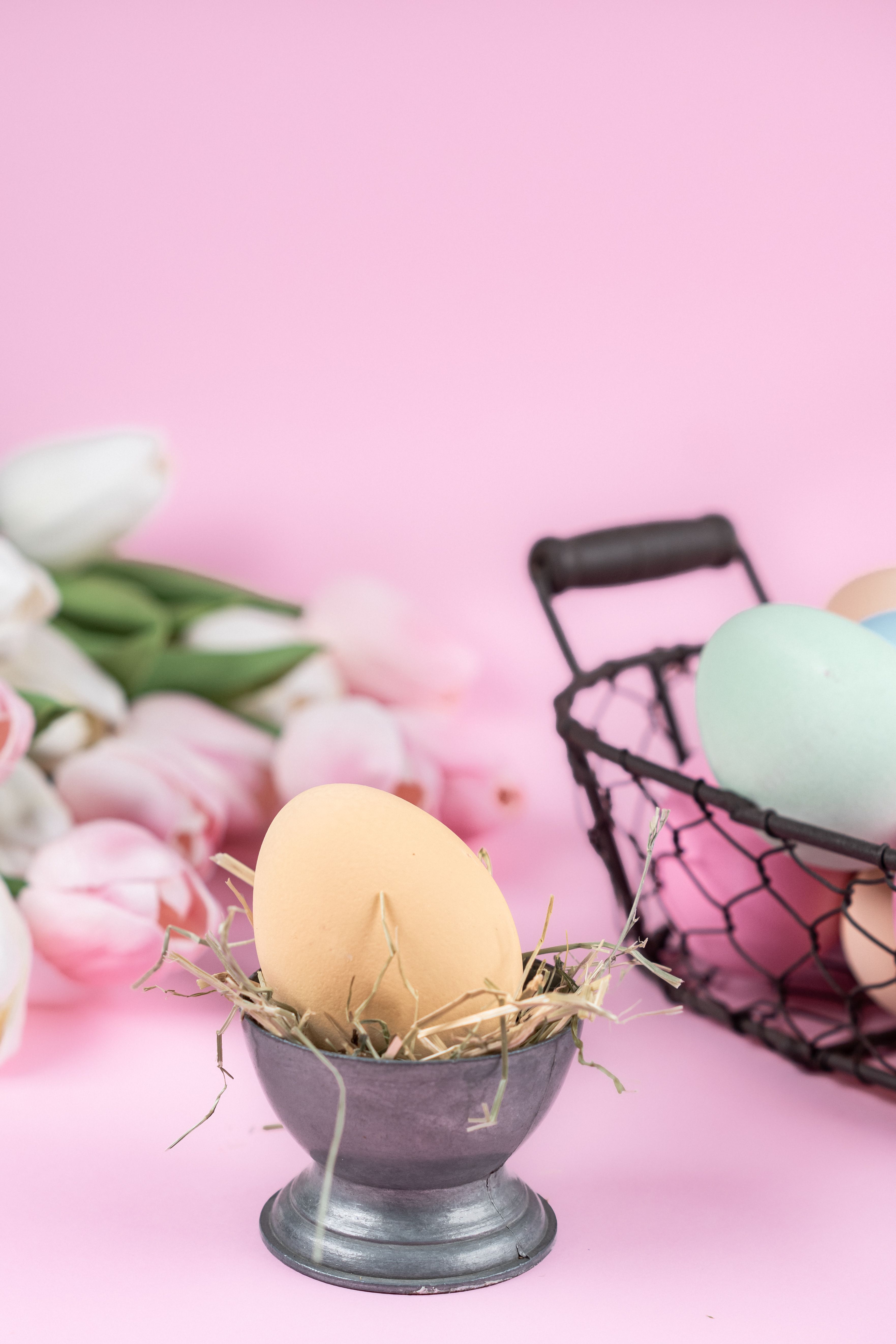 Egg Omlet Photos, Download The BEST Free Egg Omlet Stock Photos & HD Images