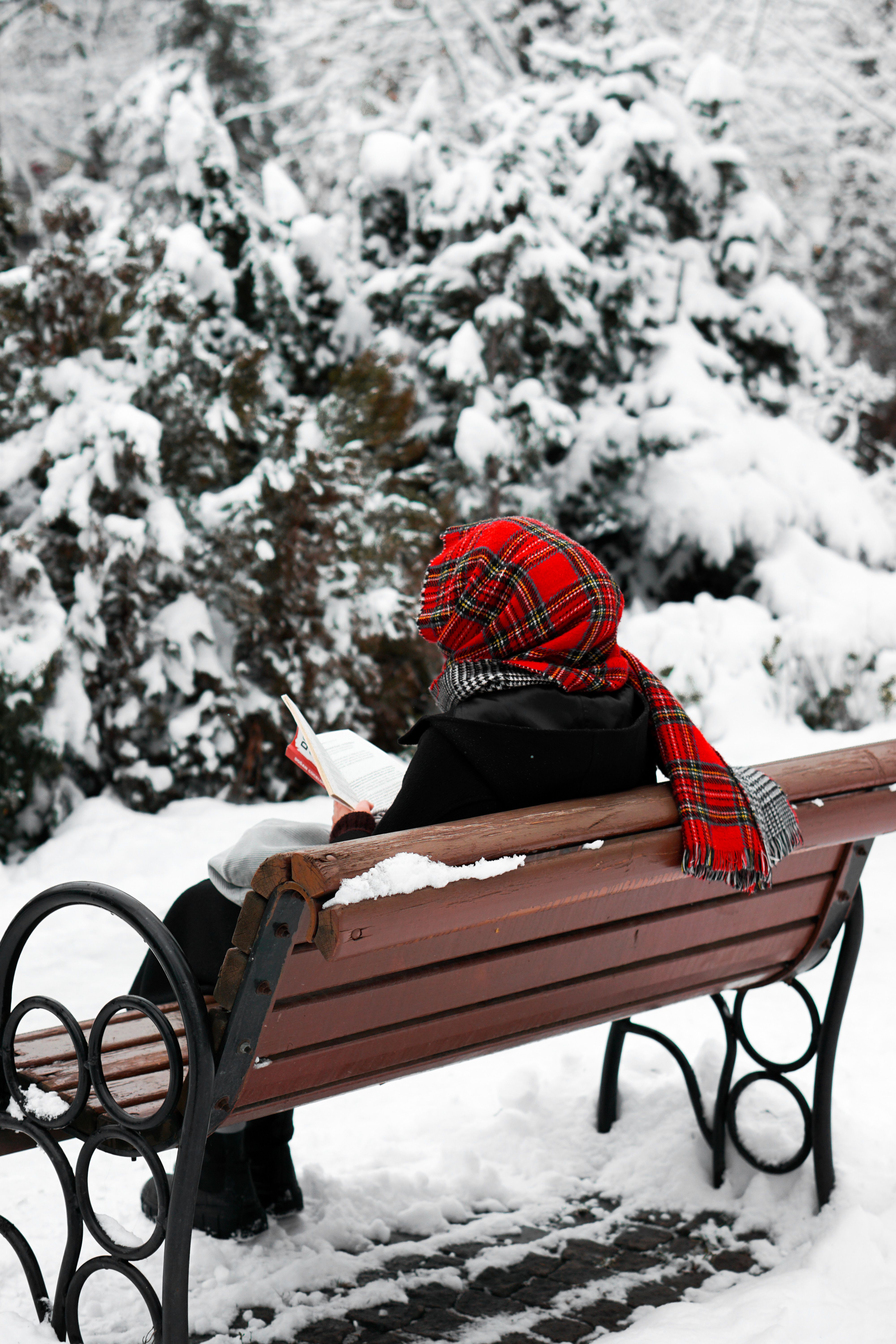 Person in Shawl Reading Book on Bench in Winter · Free Stock Photo