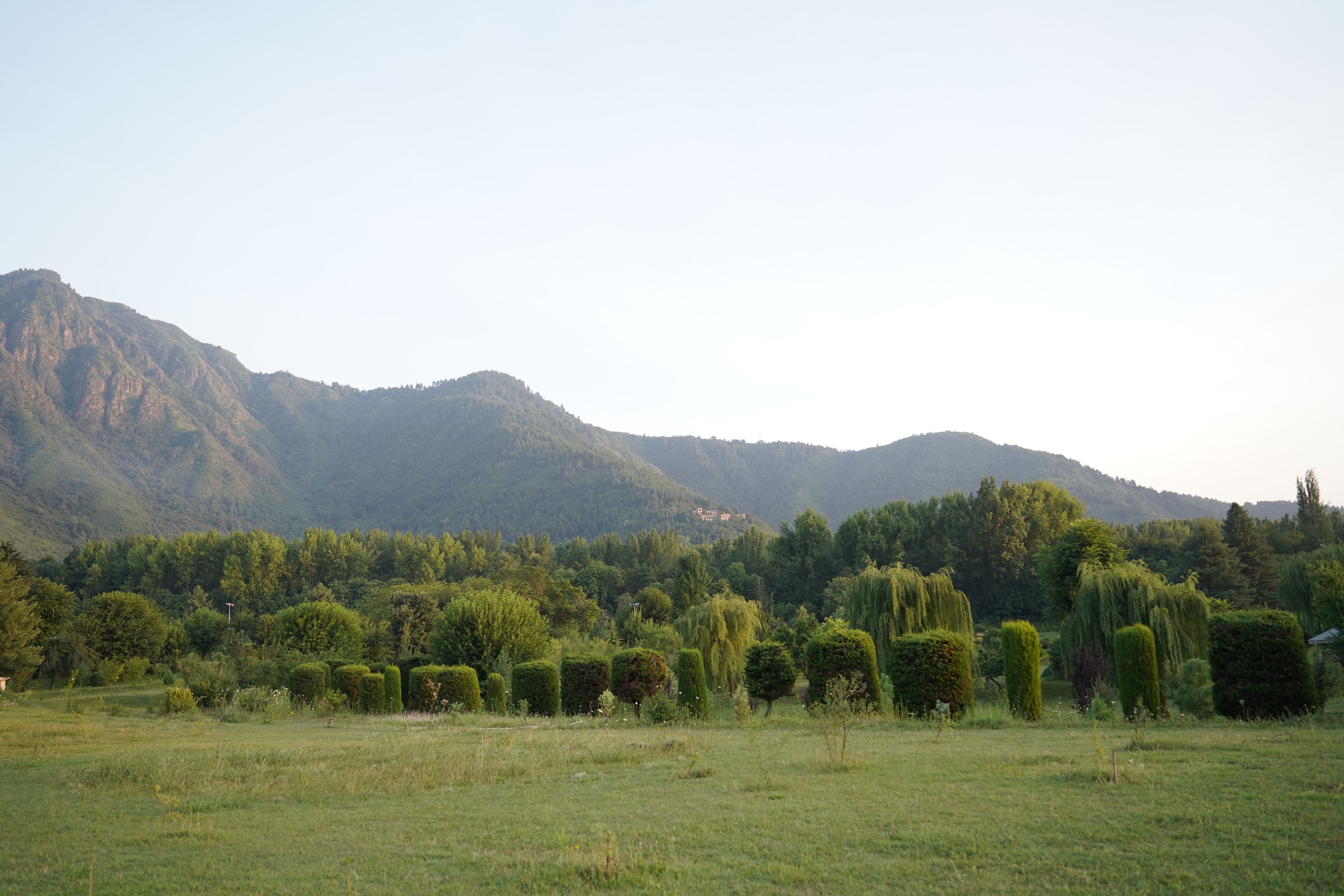 Grassland, Forest and Hills · Free Stock Photo
