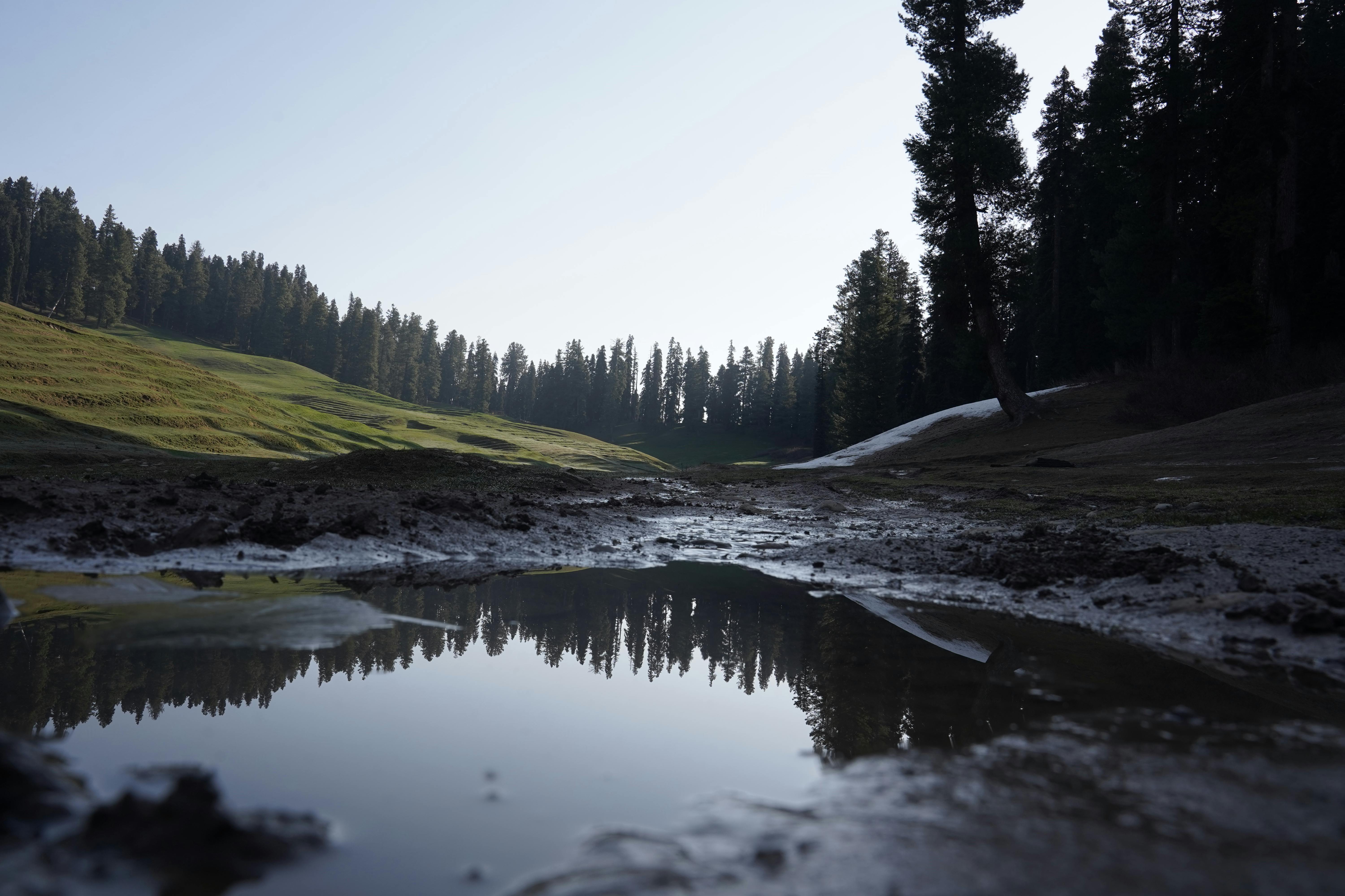 Foto de stock gratuita sobre arboles, barro, bosque, campo, cerros ...