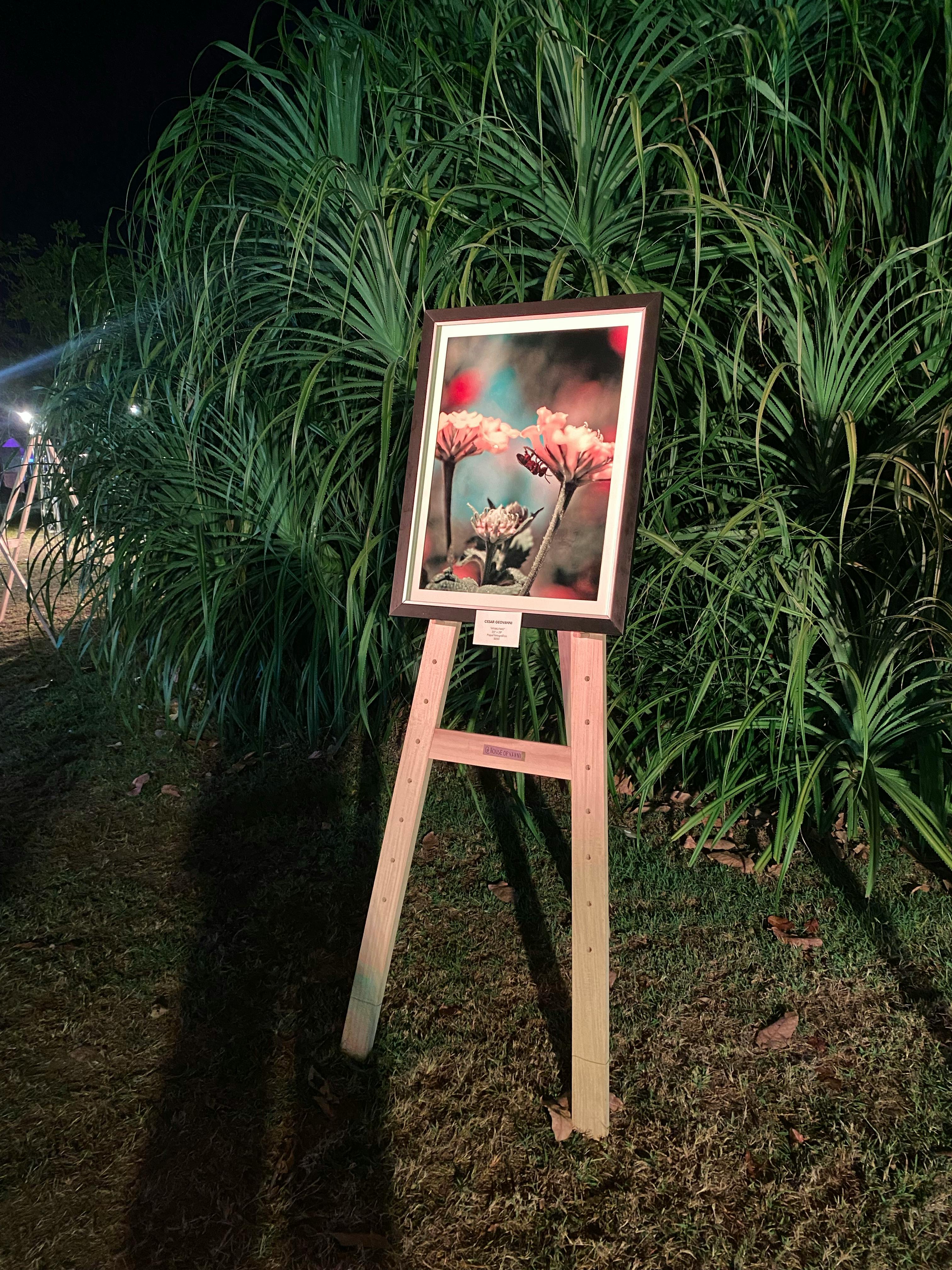 Iphone Roll 12 Photos & Videos Collected by Melanie