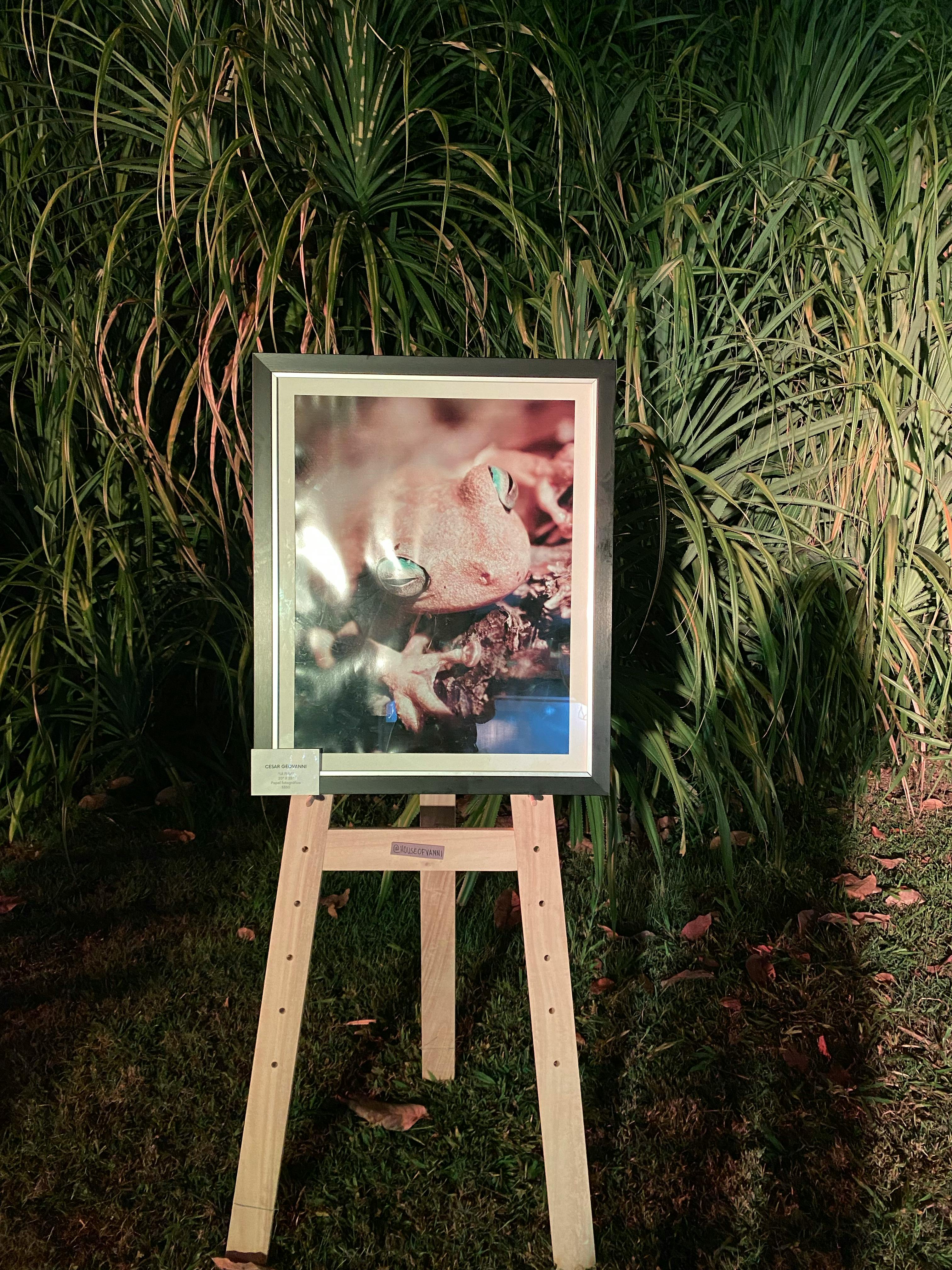 Iphone Roll 12 Photos & Videos Collected by Melanie