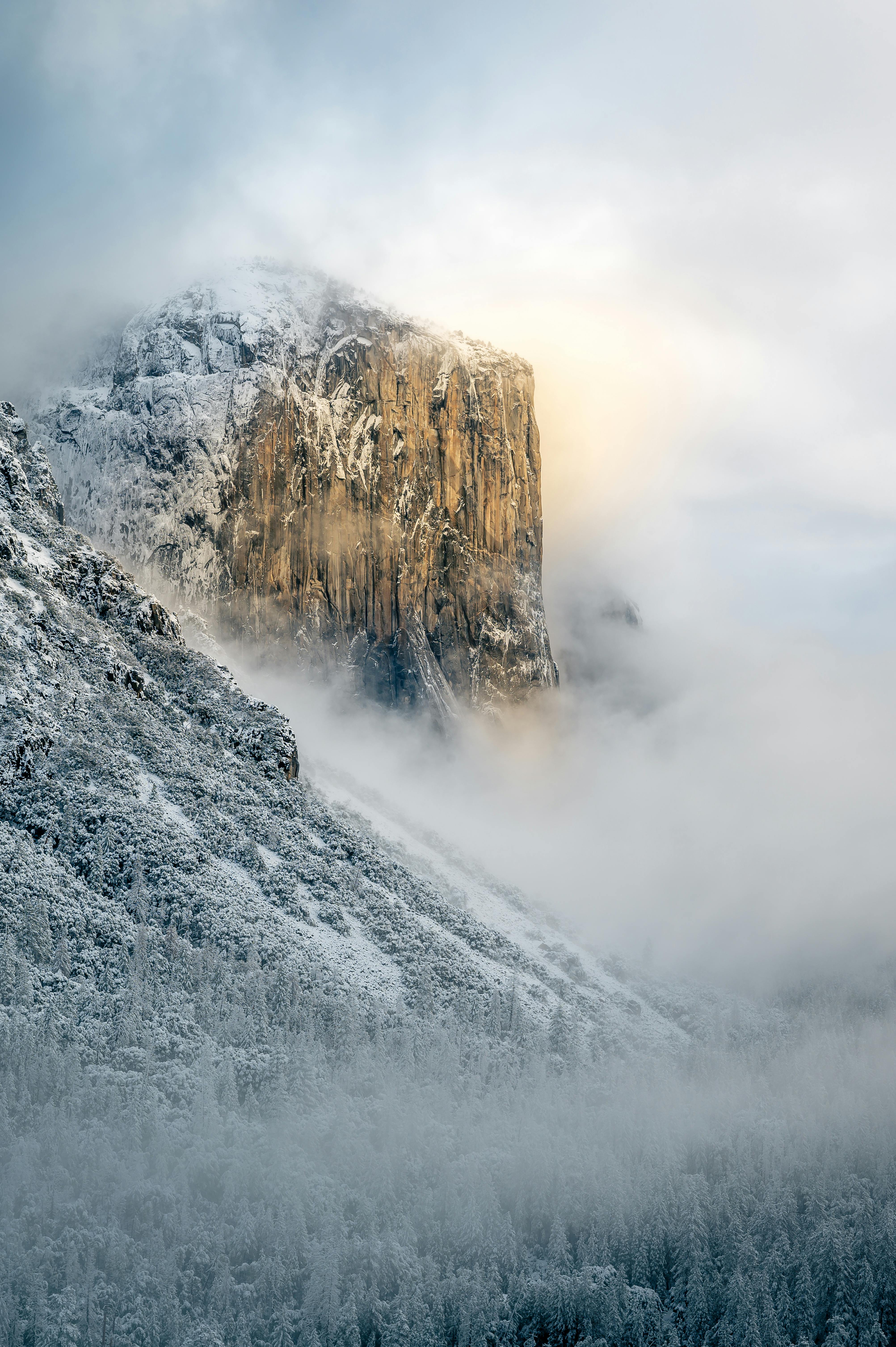 Free stock photo of america, background, california, captivating ...