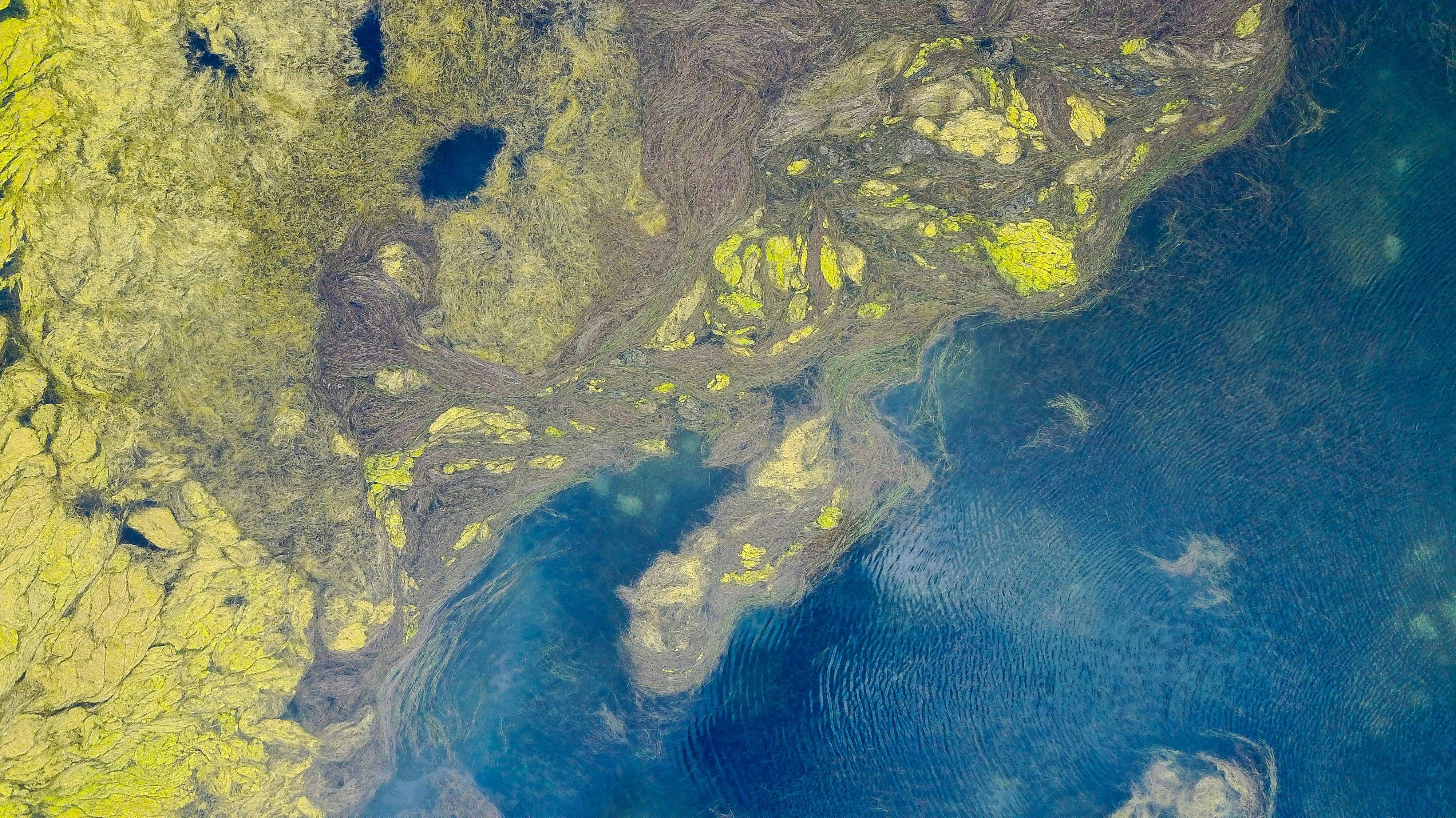 Aerial Photo of Island · Free Stock Photo