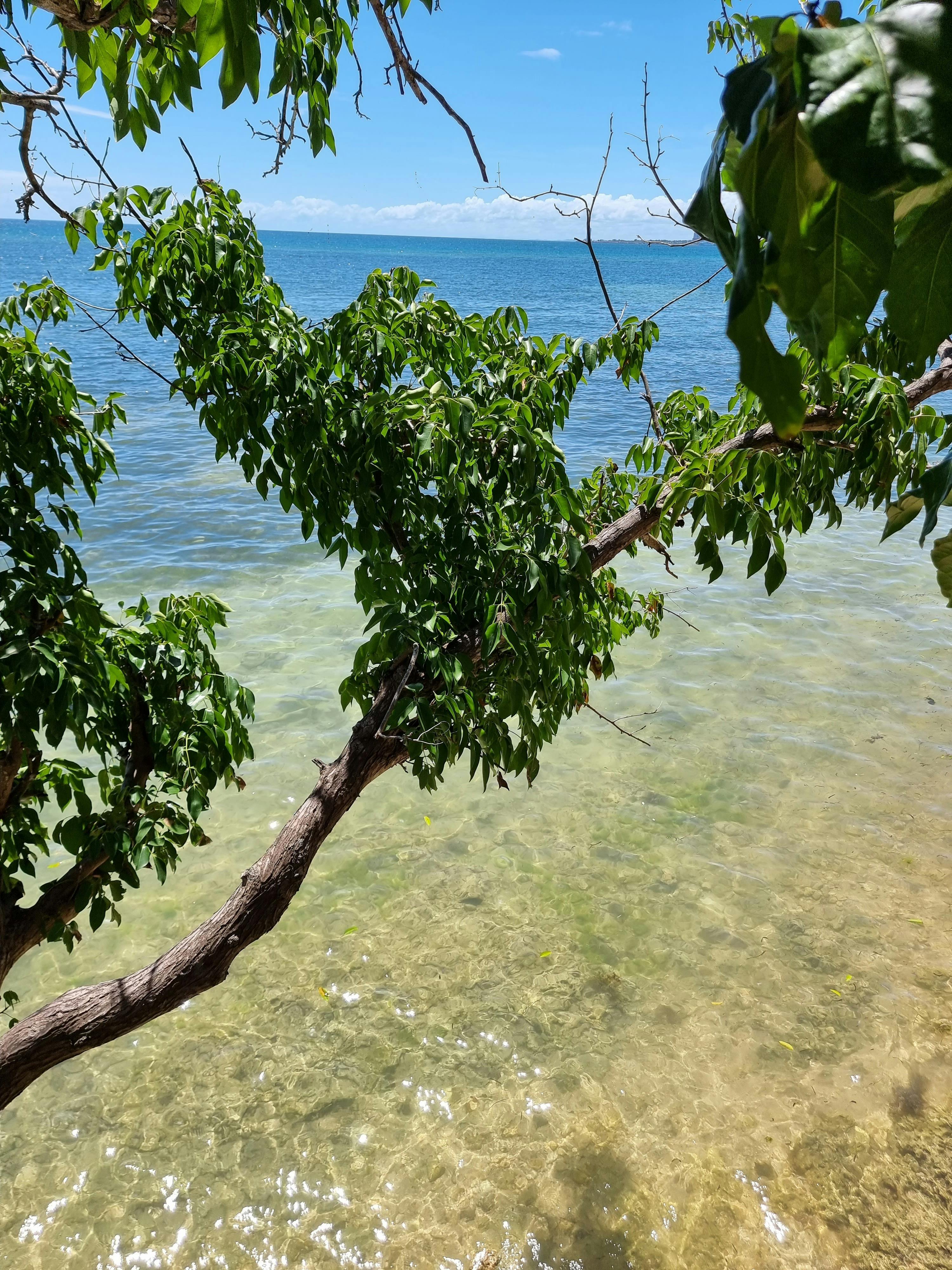 Shinn Asuka - Fotografía