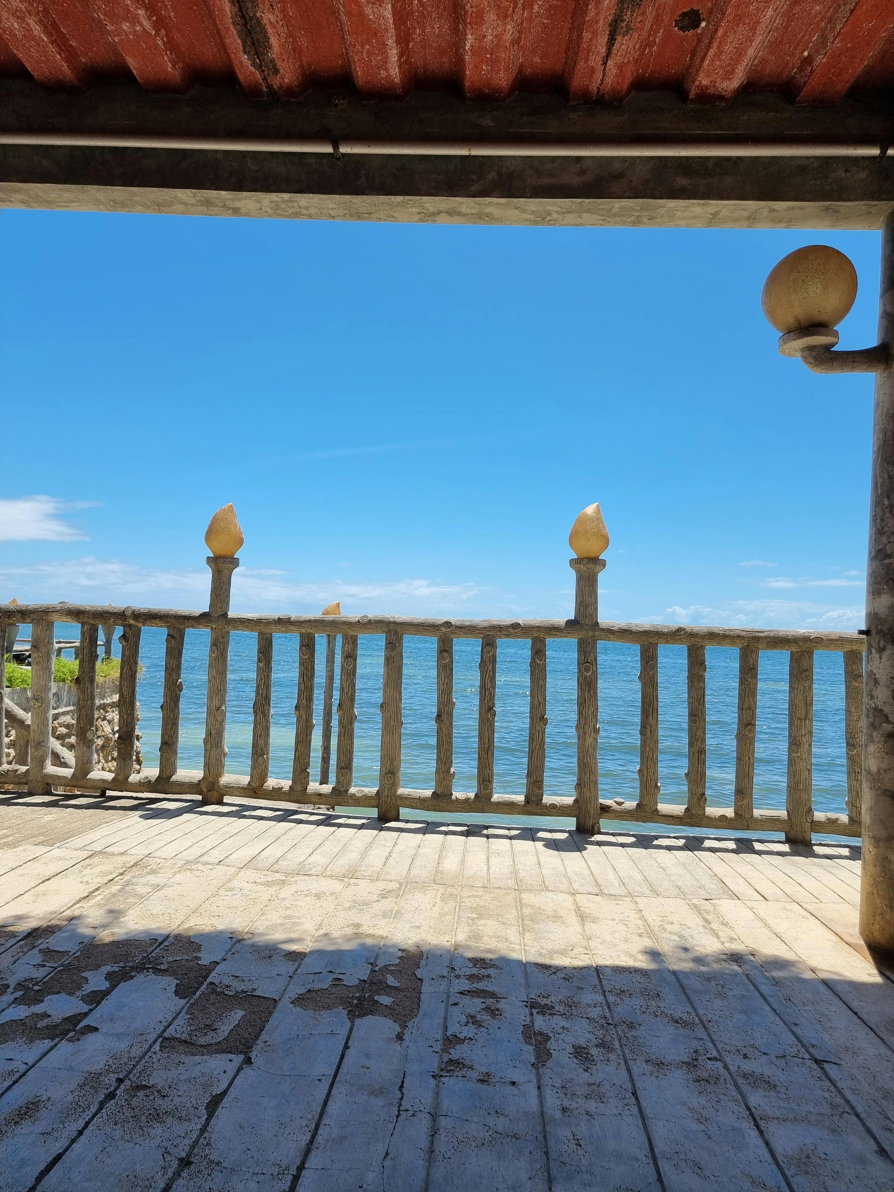 Shinn Asuka - Fotografía