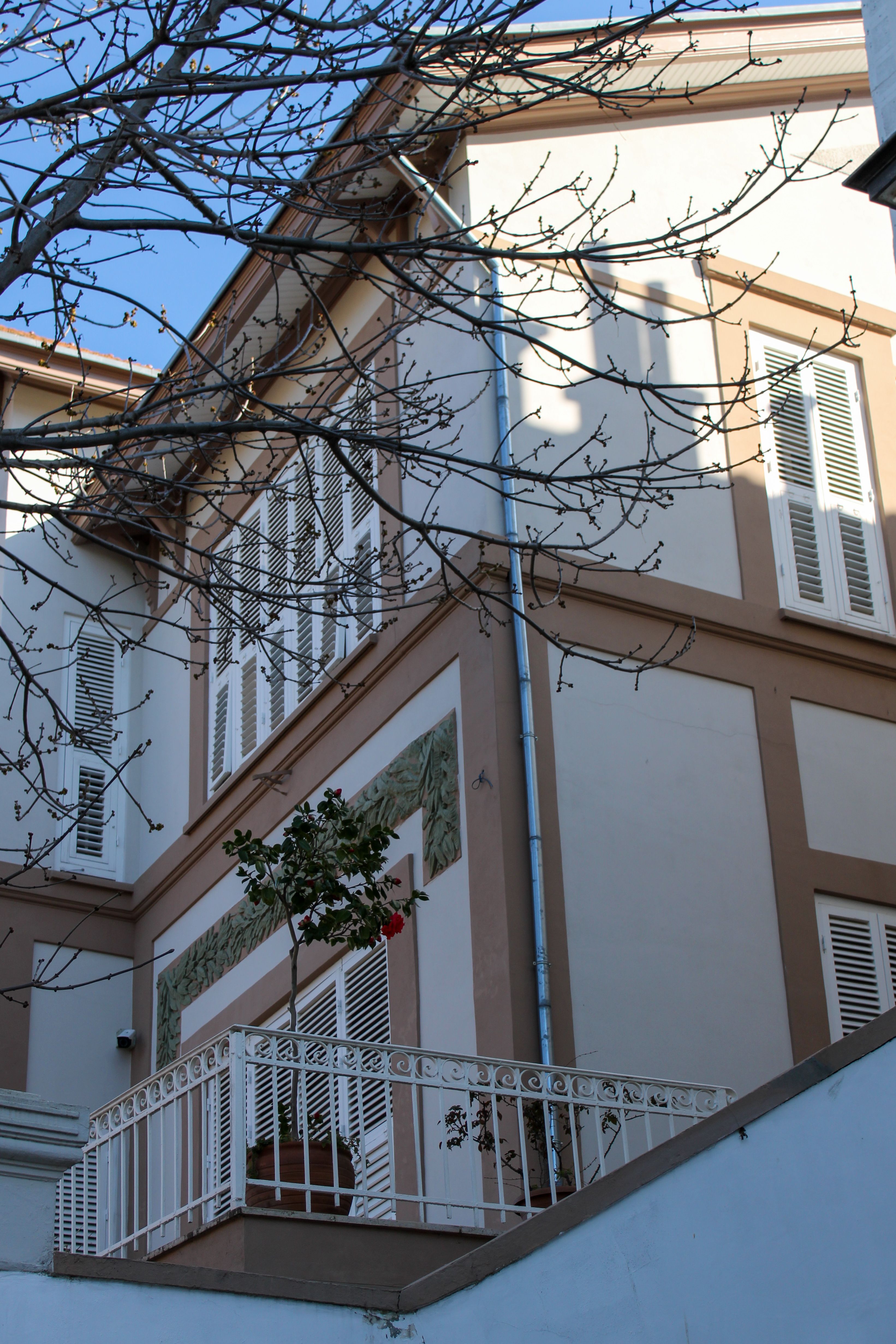 Building behind Branches · Free Stock Photo