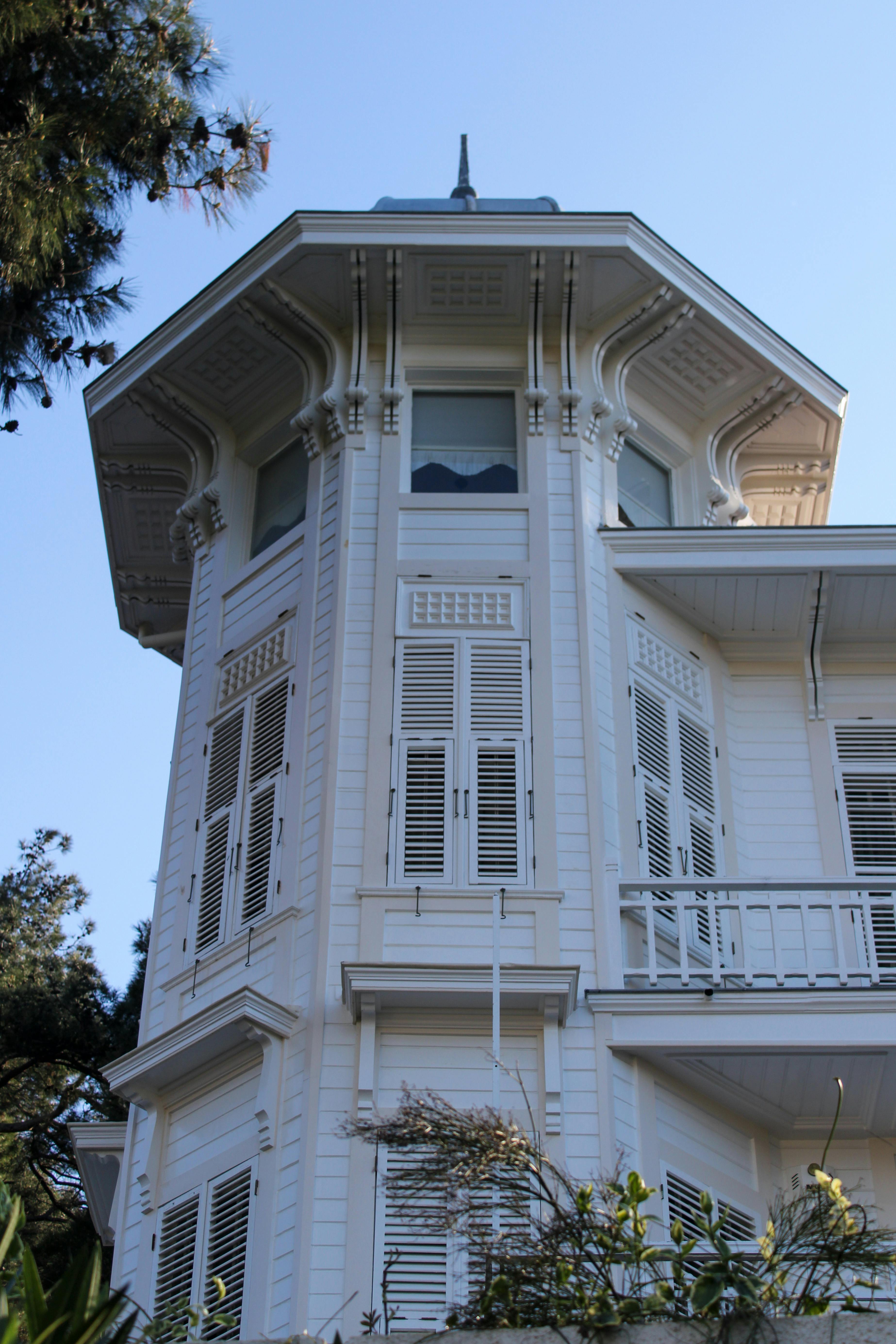 Molla Photos, Download The BEST Free Molla Stock Photos & HD Images