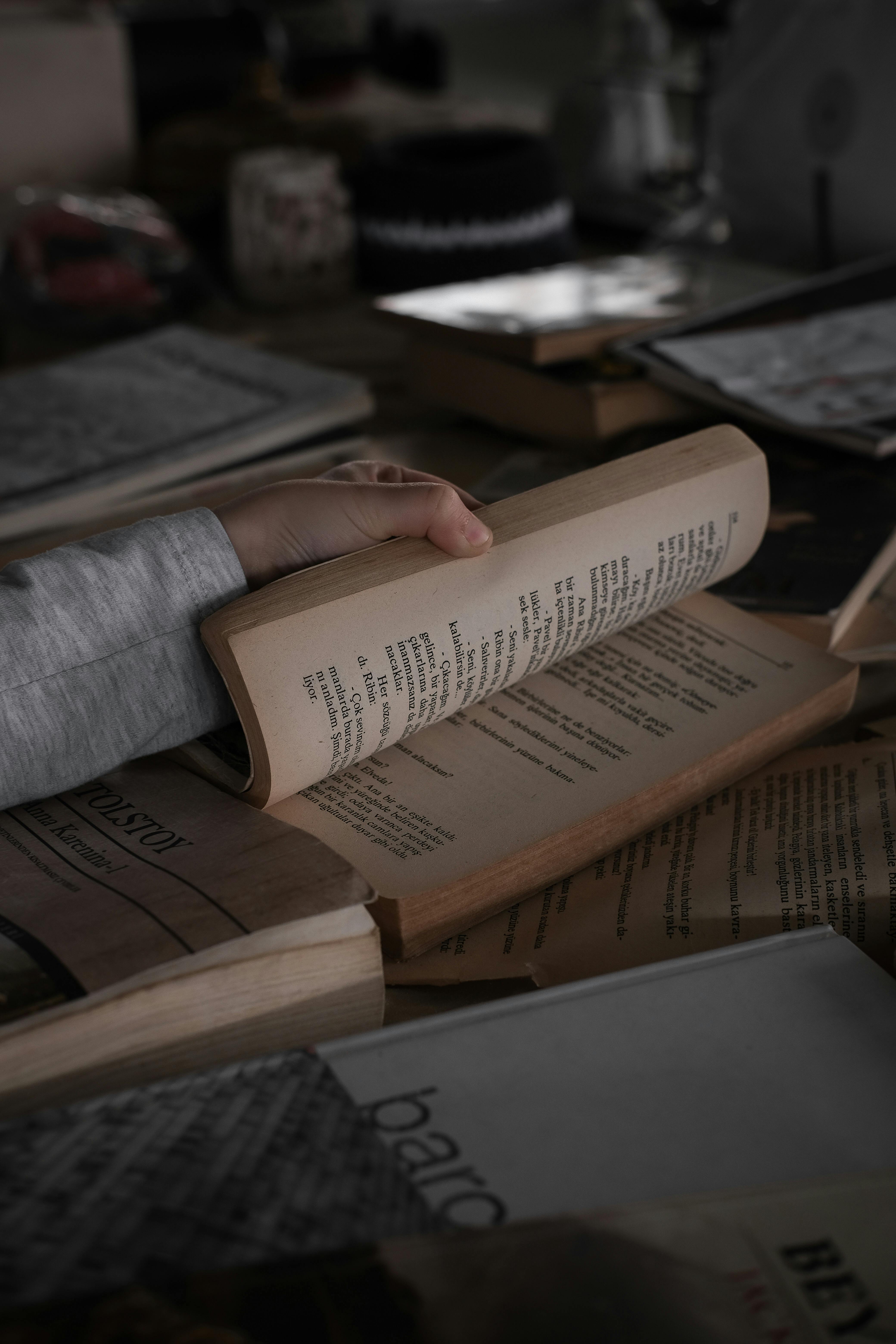 Person Reading a Book · Free Stock Photo