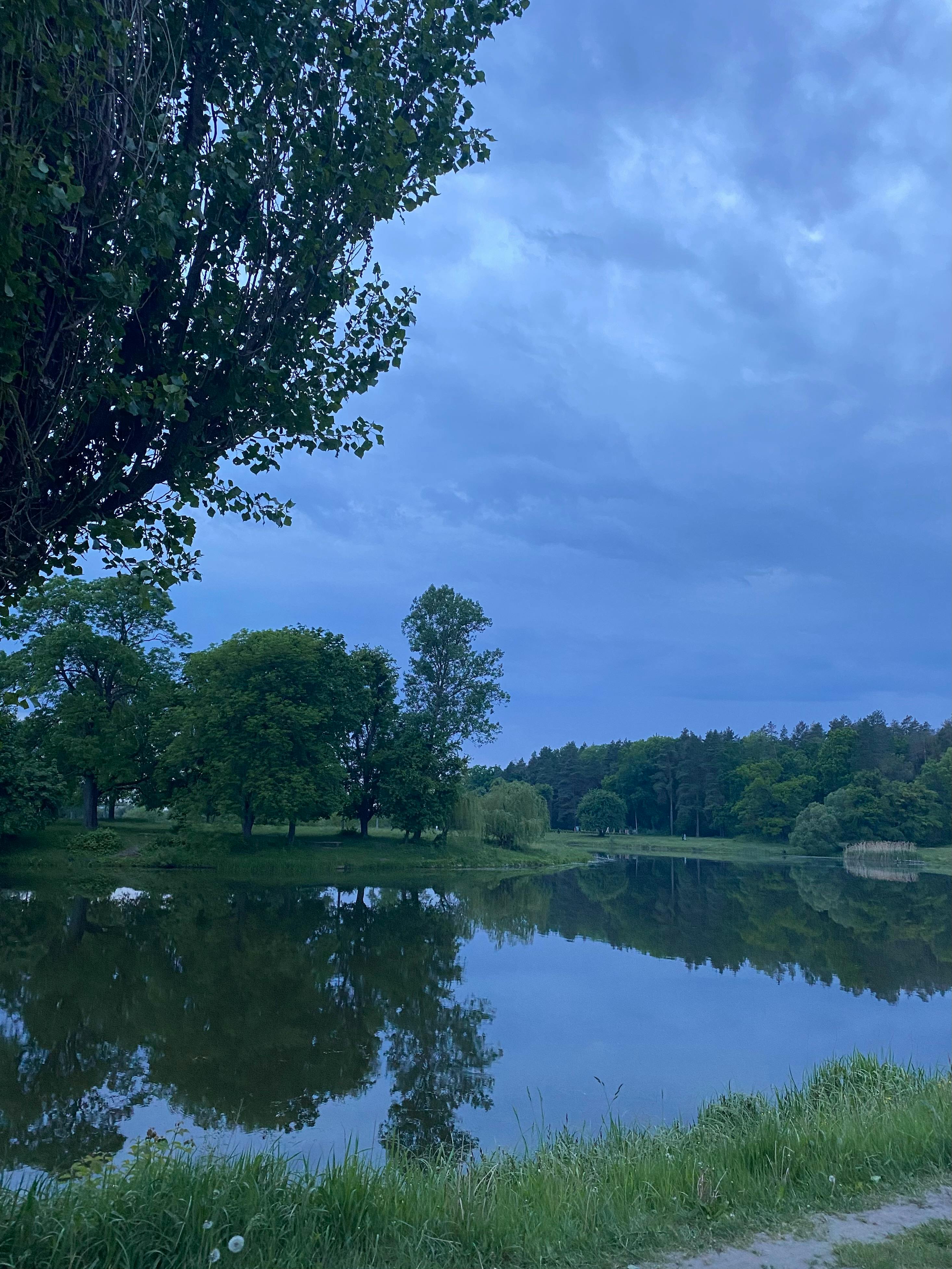 strish. a - Fotografía