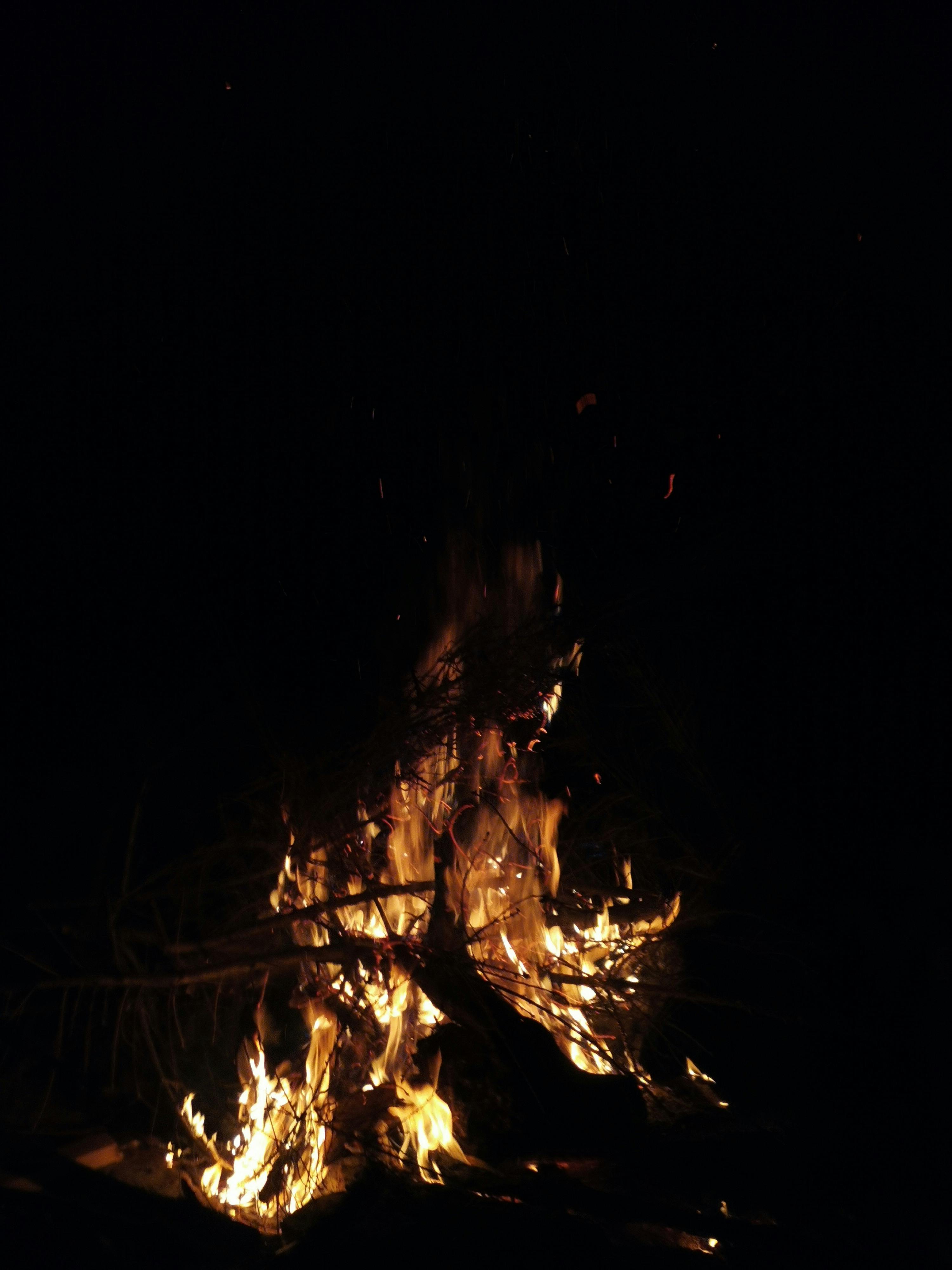 strish. a - Fotografía