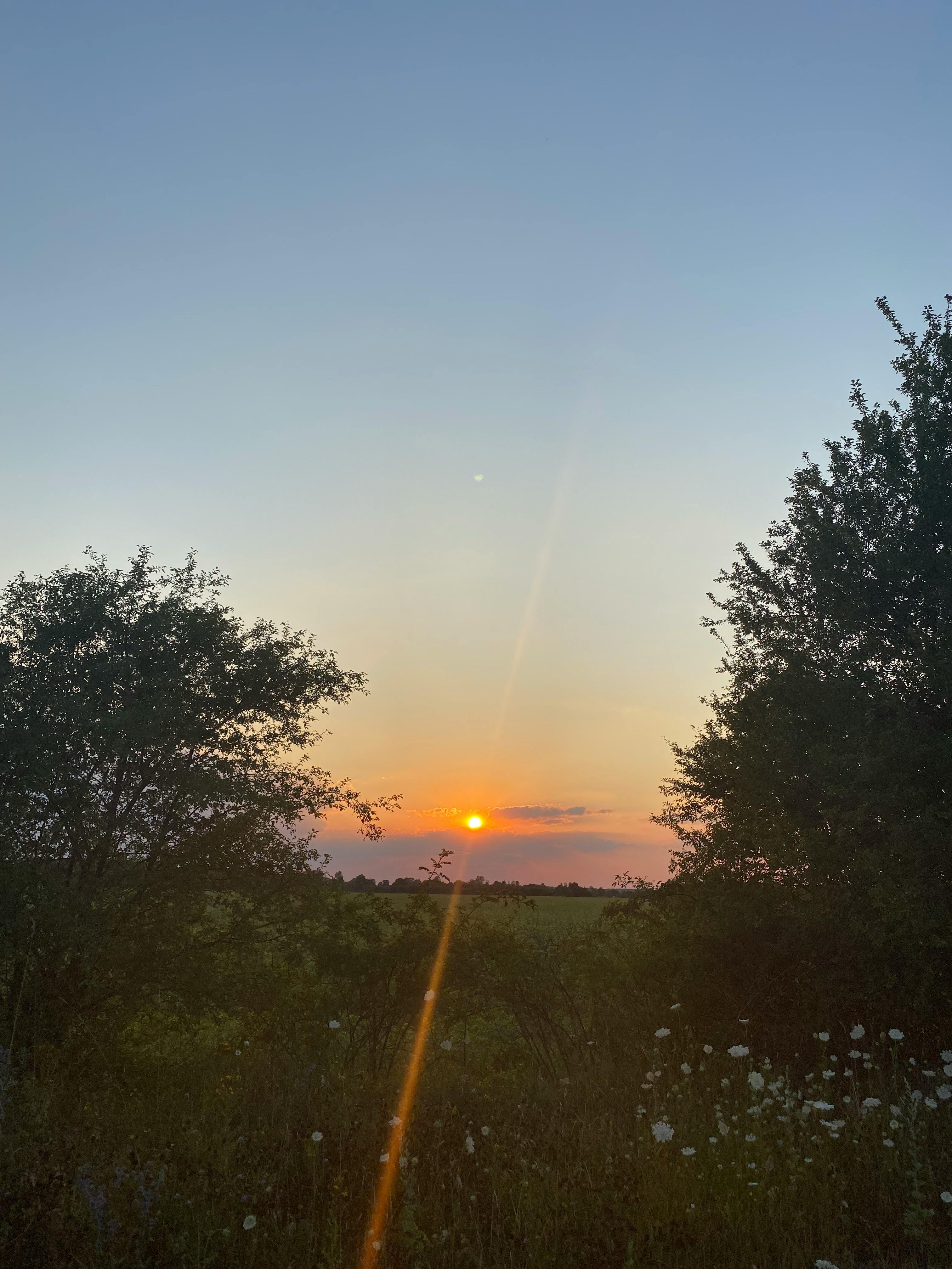 strish. a - Fotografía