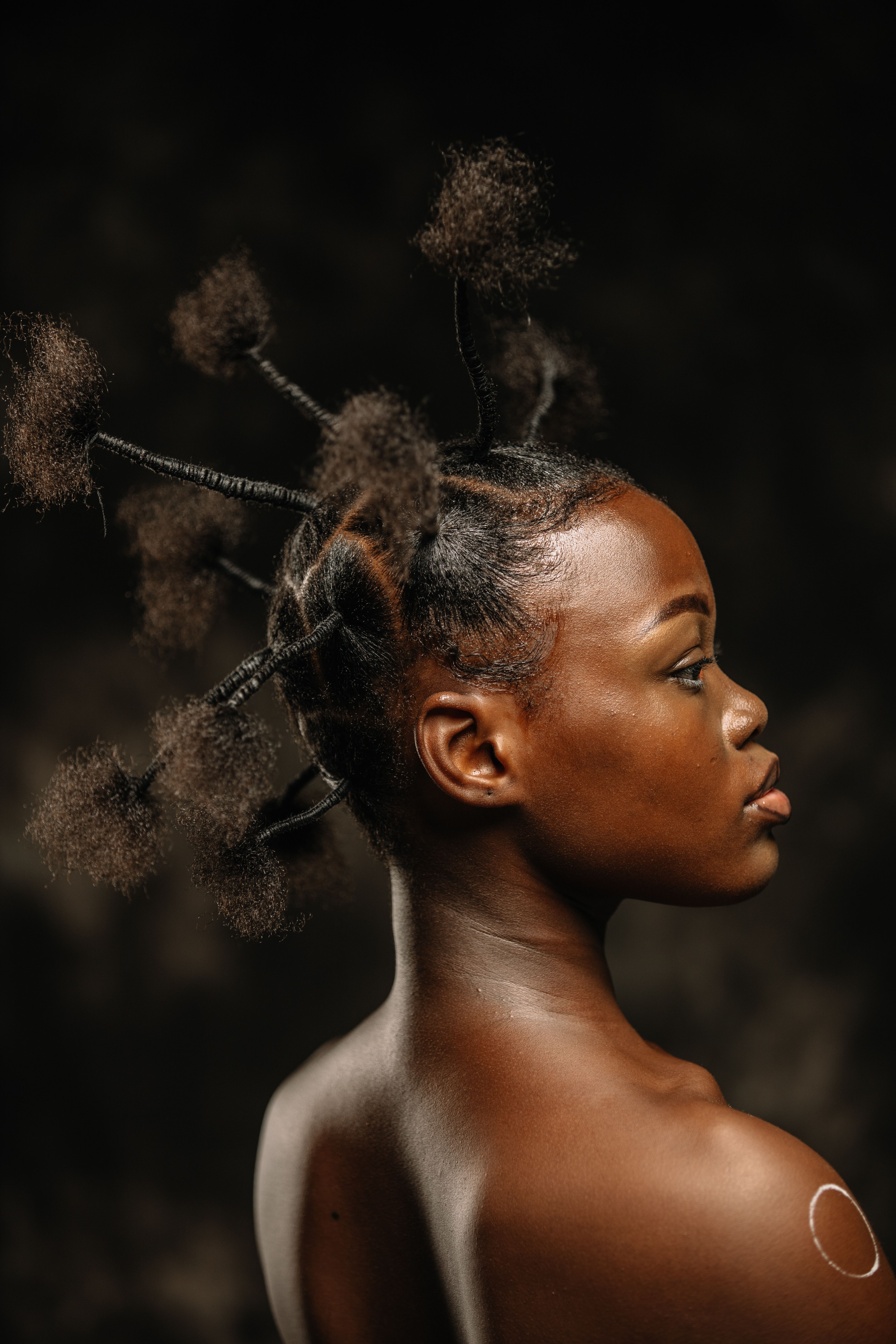Portrait of a Shirtless Woman · Free Stock Photo