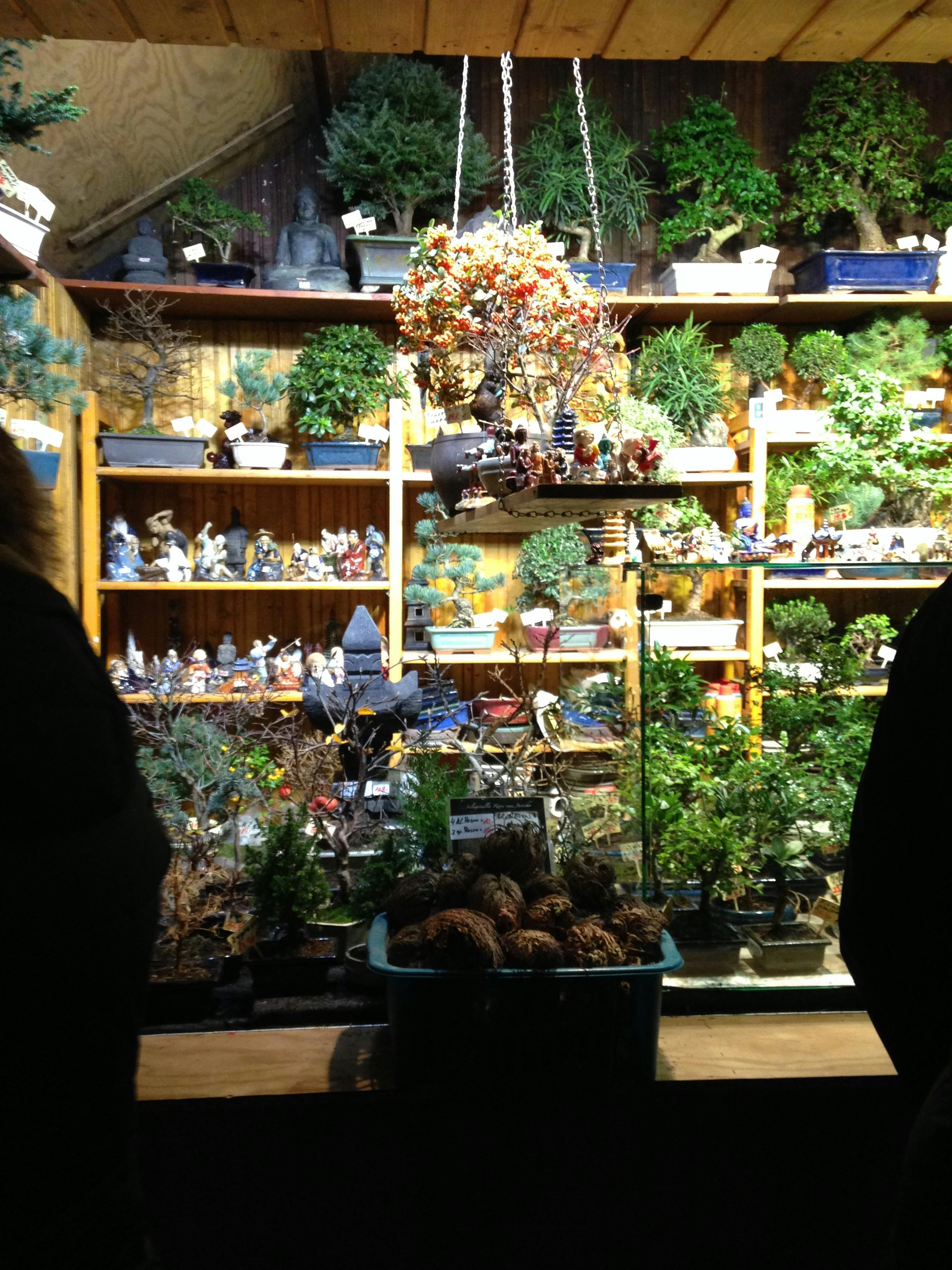 Germany 12 Photos & Videos Collected by Siren Watcher