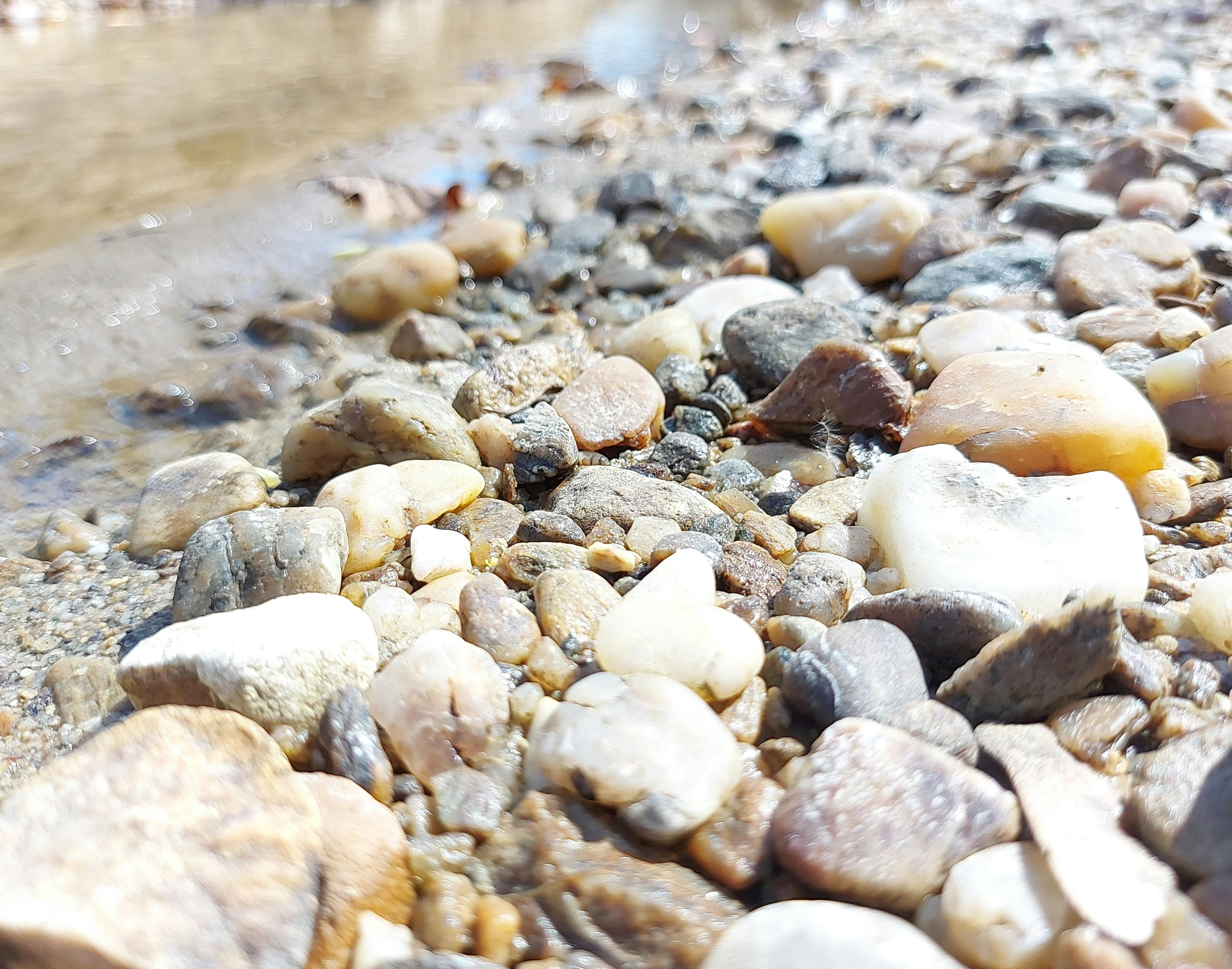 Natural - Photographie