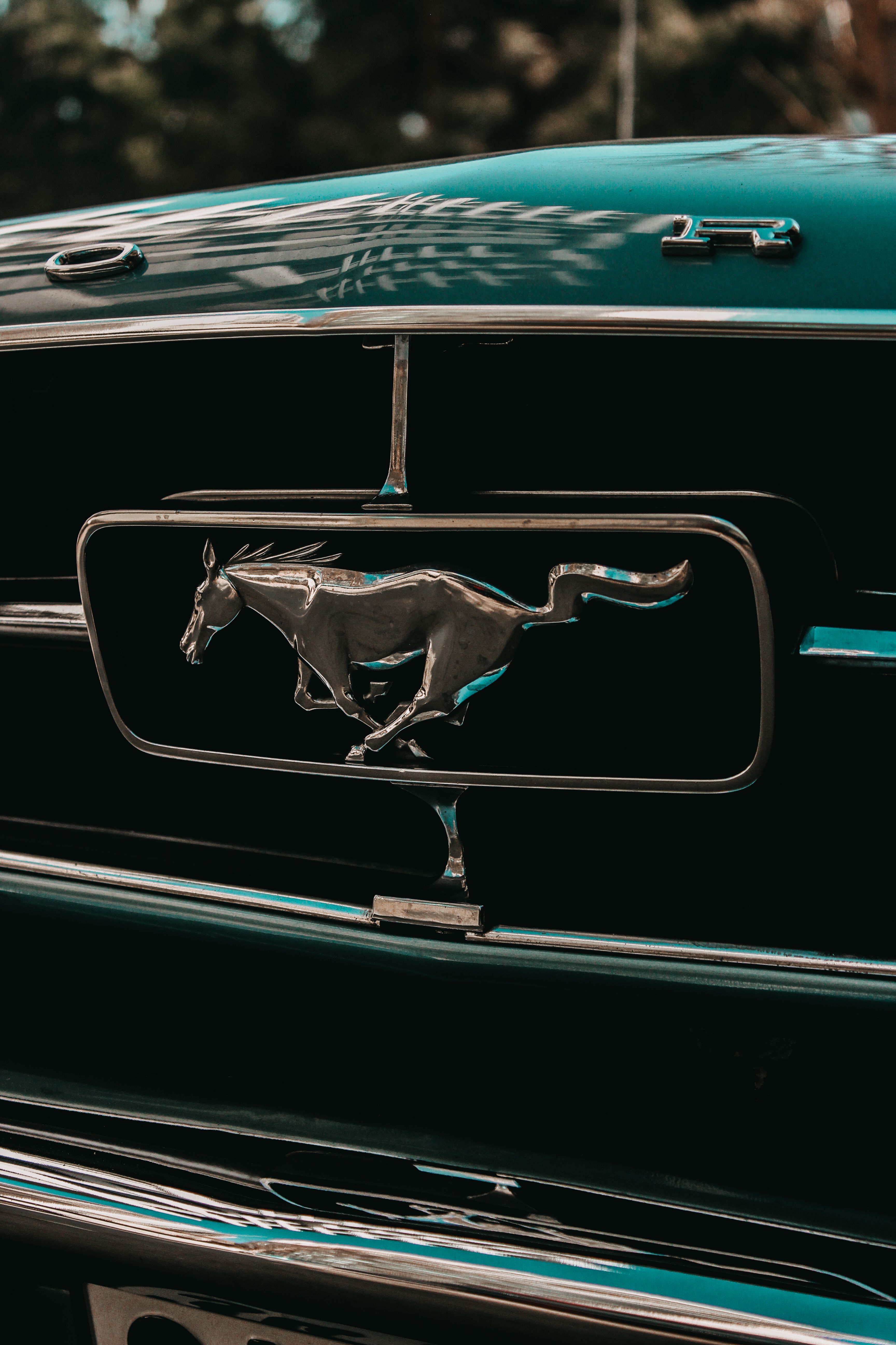 Ford Mustang on Road · Free Stock Photo
