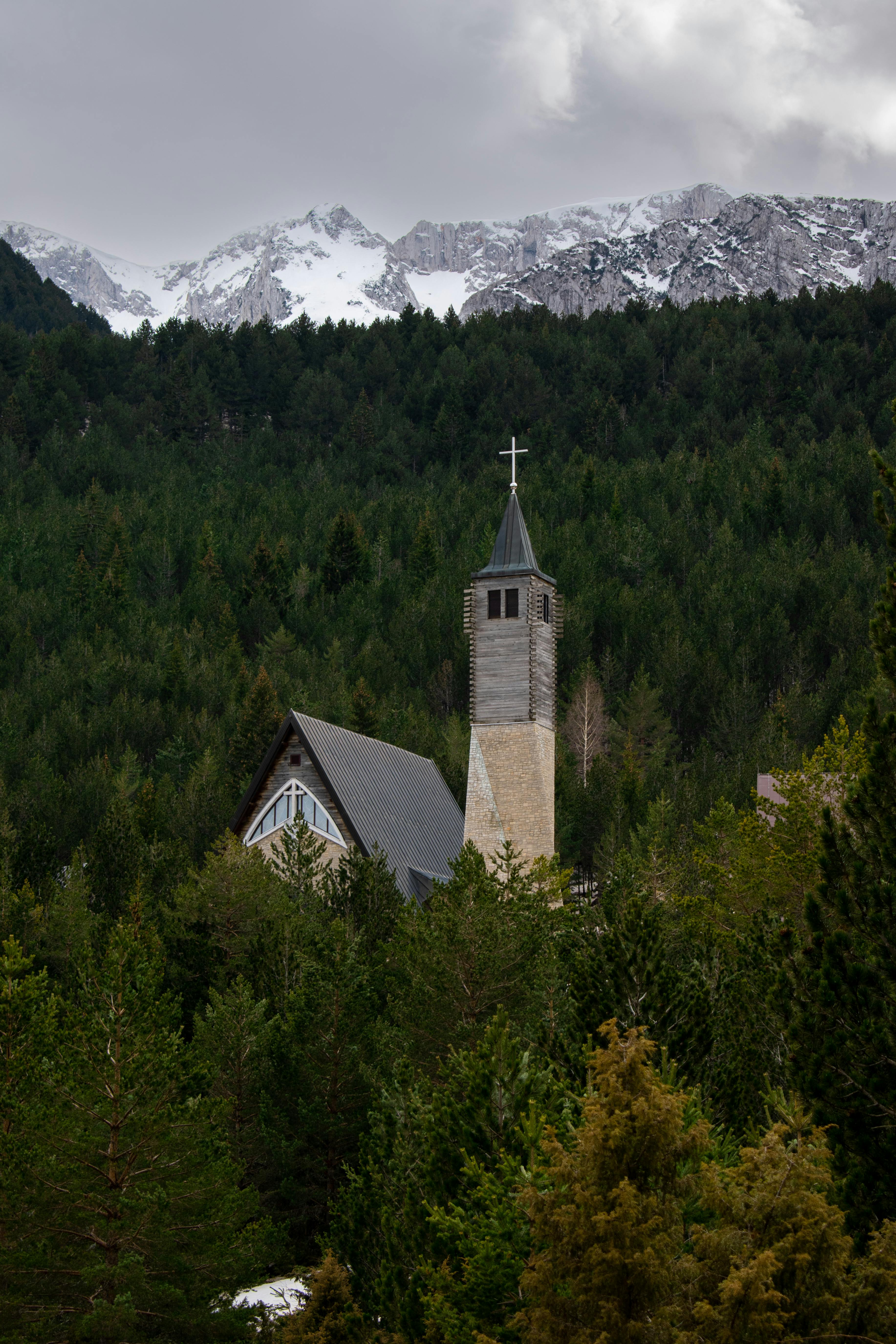 Church Tower Among the Forest Trees · Free Stock Photo