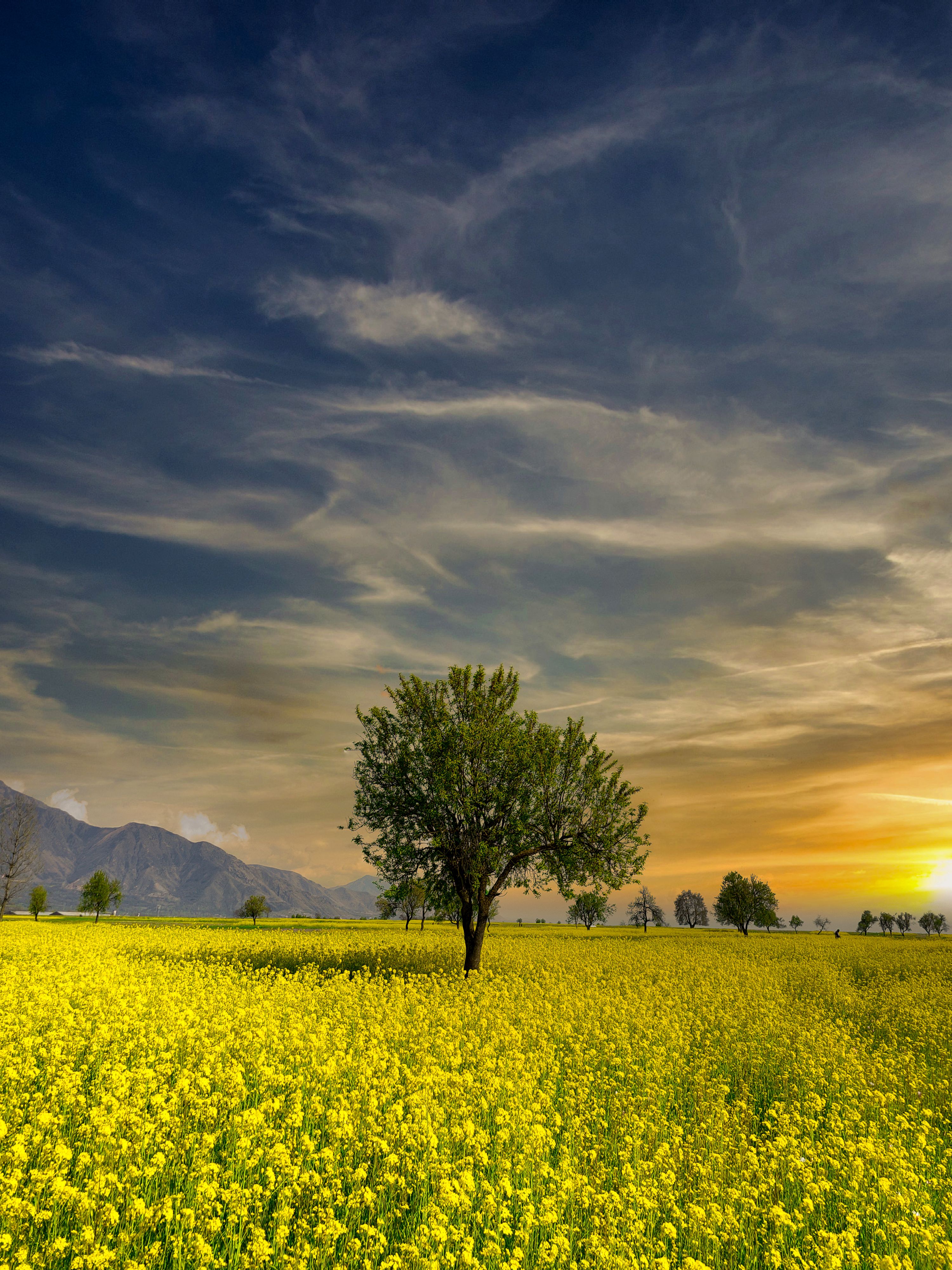 Imad Clicks - Photography