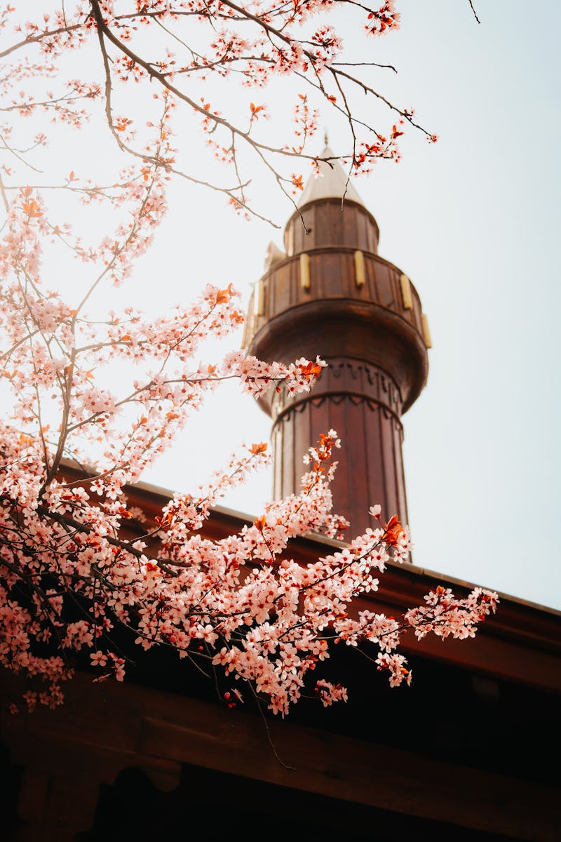 Spring Lighthouse Photos, Download The BEST Free Spring Lighthouse ...