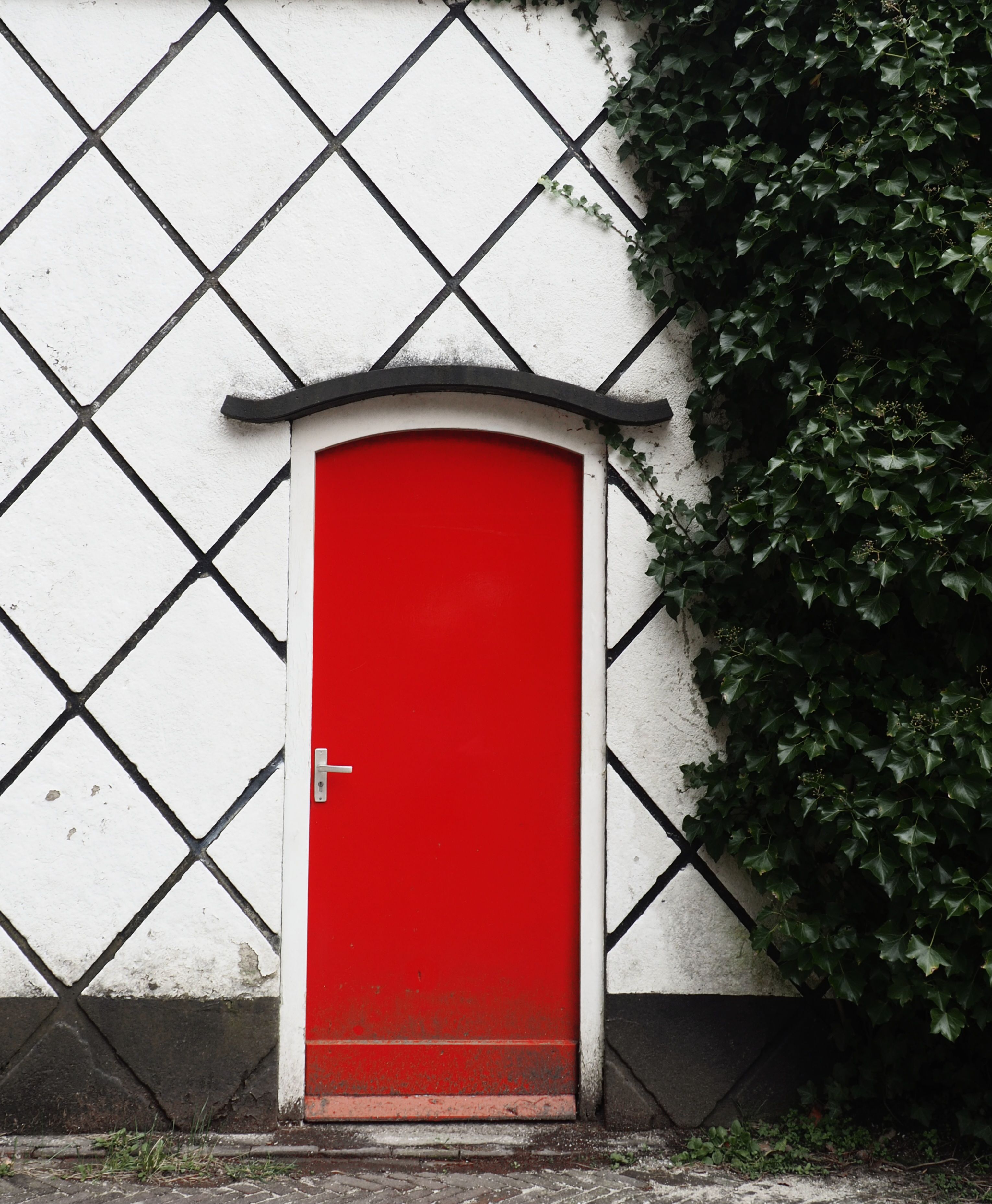 Ivy near Door · Free Stock Photo