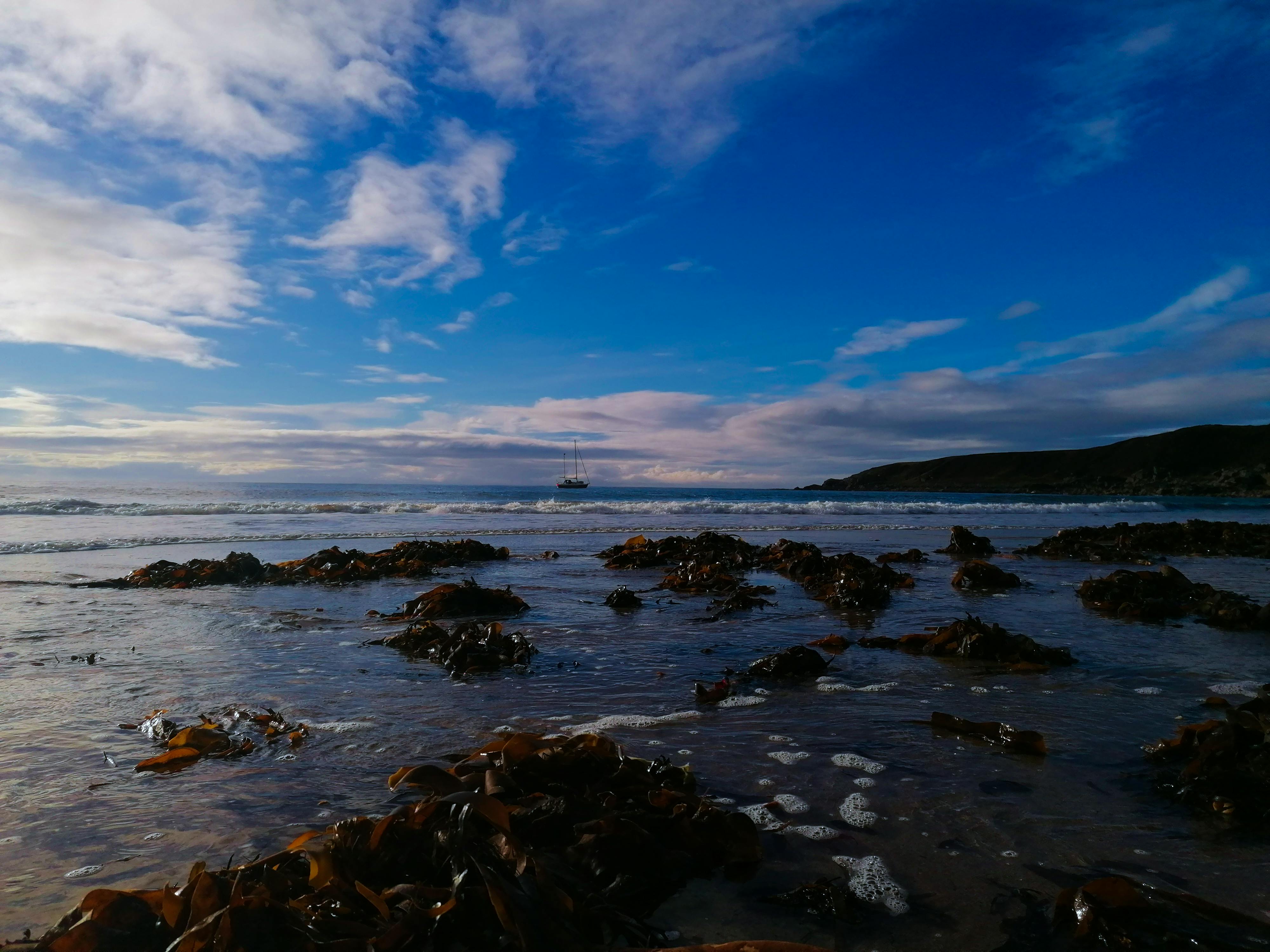 Joshua Taylor – Fotografie