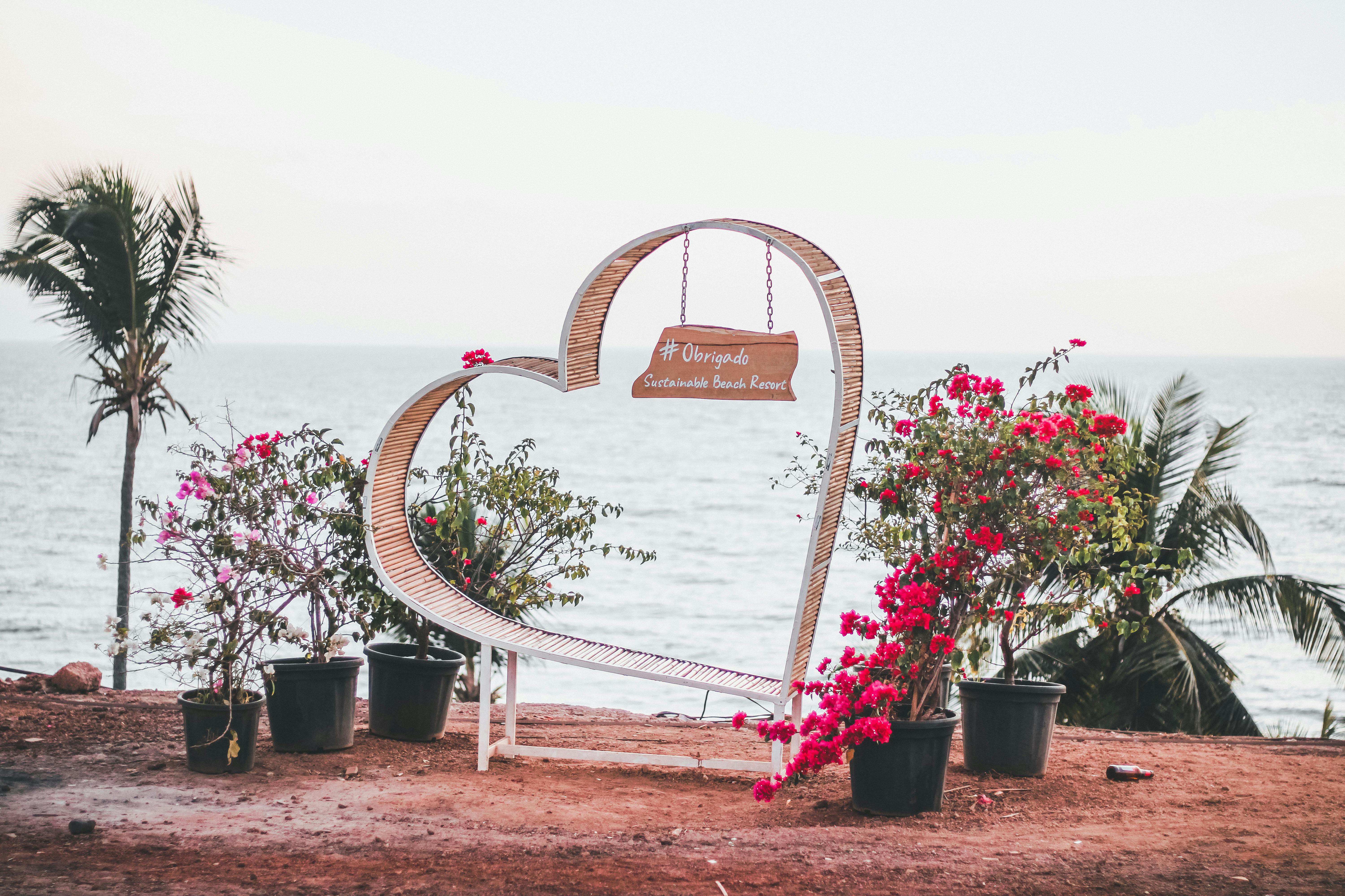 Romantic Heart Shape Bench Overlooking Sea · Free Stock Photo