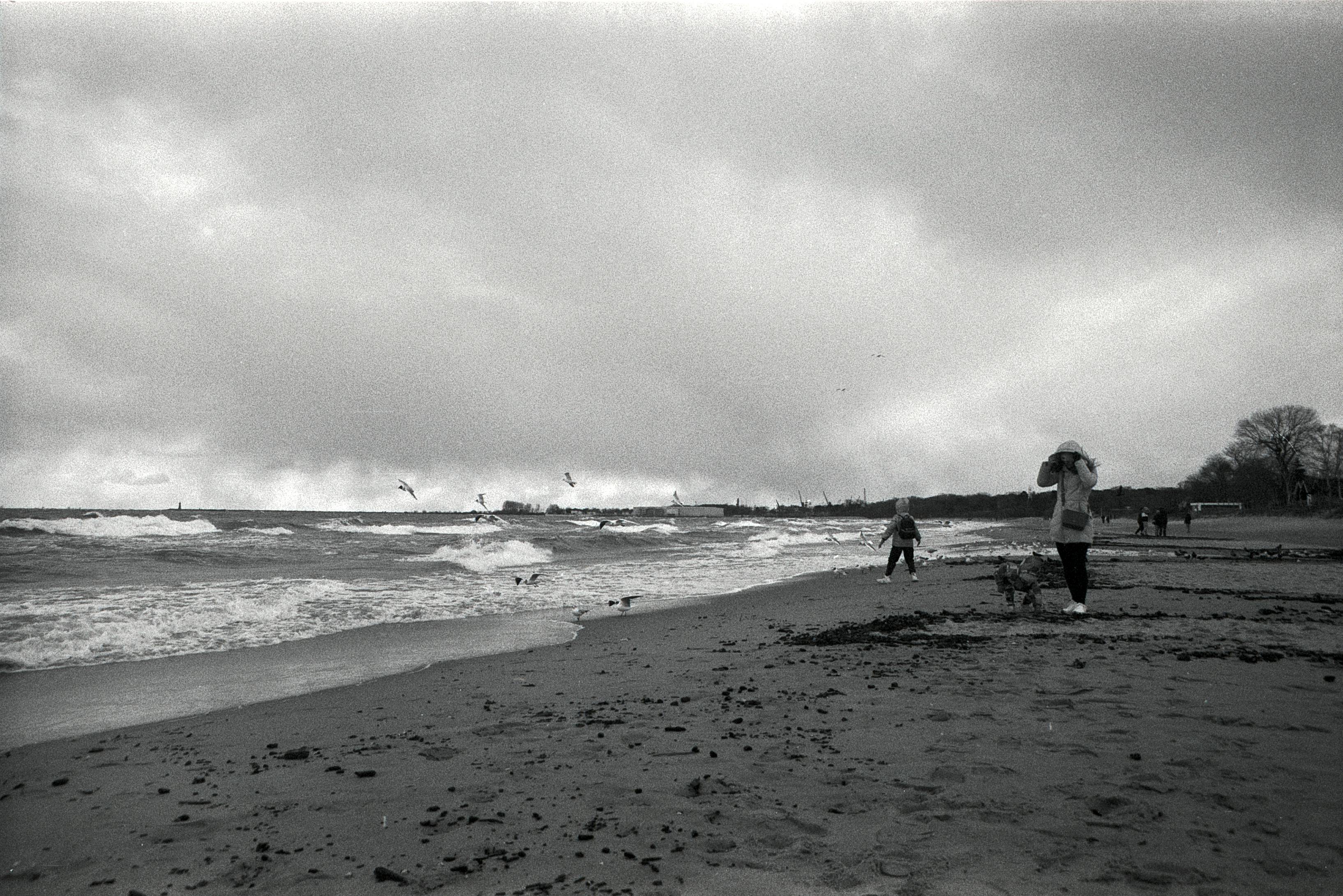 Beach Water Photos, Download The BEST Free Beach Water Stock Photos ...