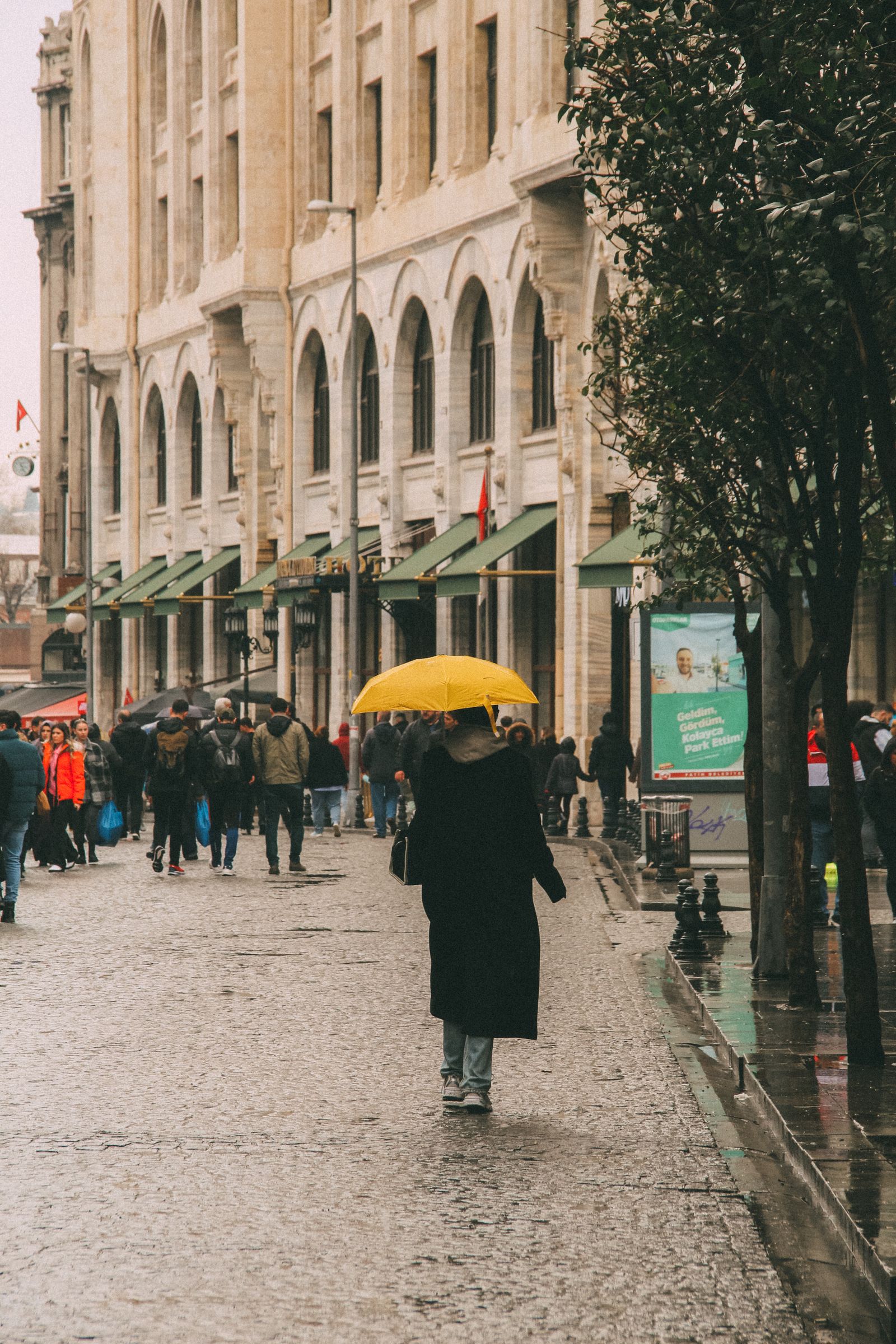 Paving Street Photos, Download The BEST Free Paving Street Stock Photos ...