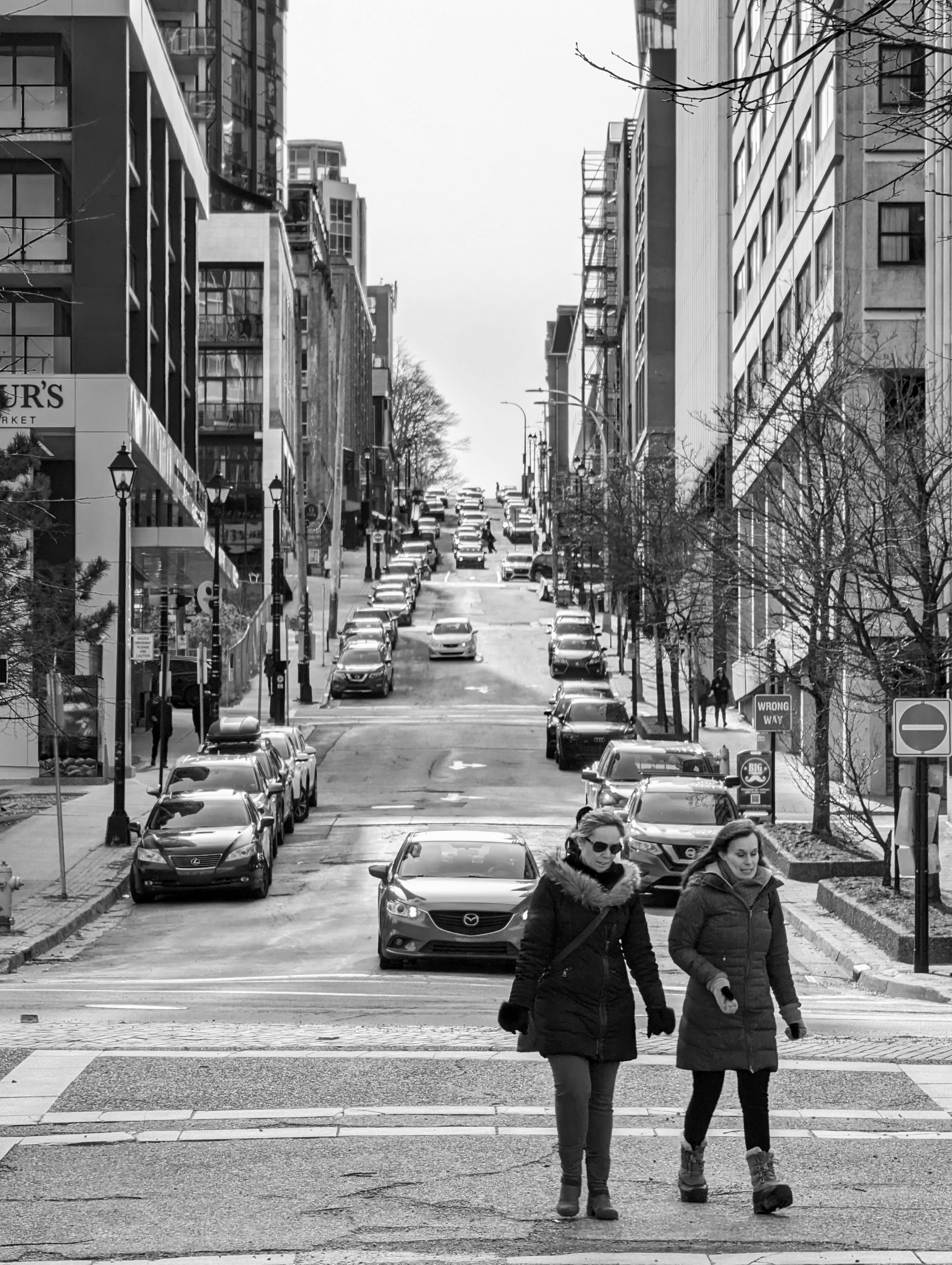 Halifax Center Photos, Download The BEST Free Halifax Center Stock ...