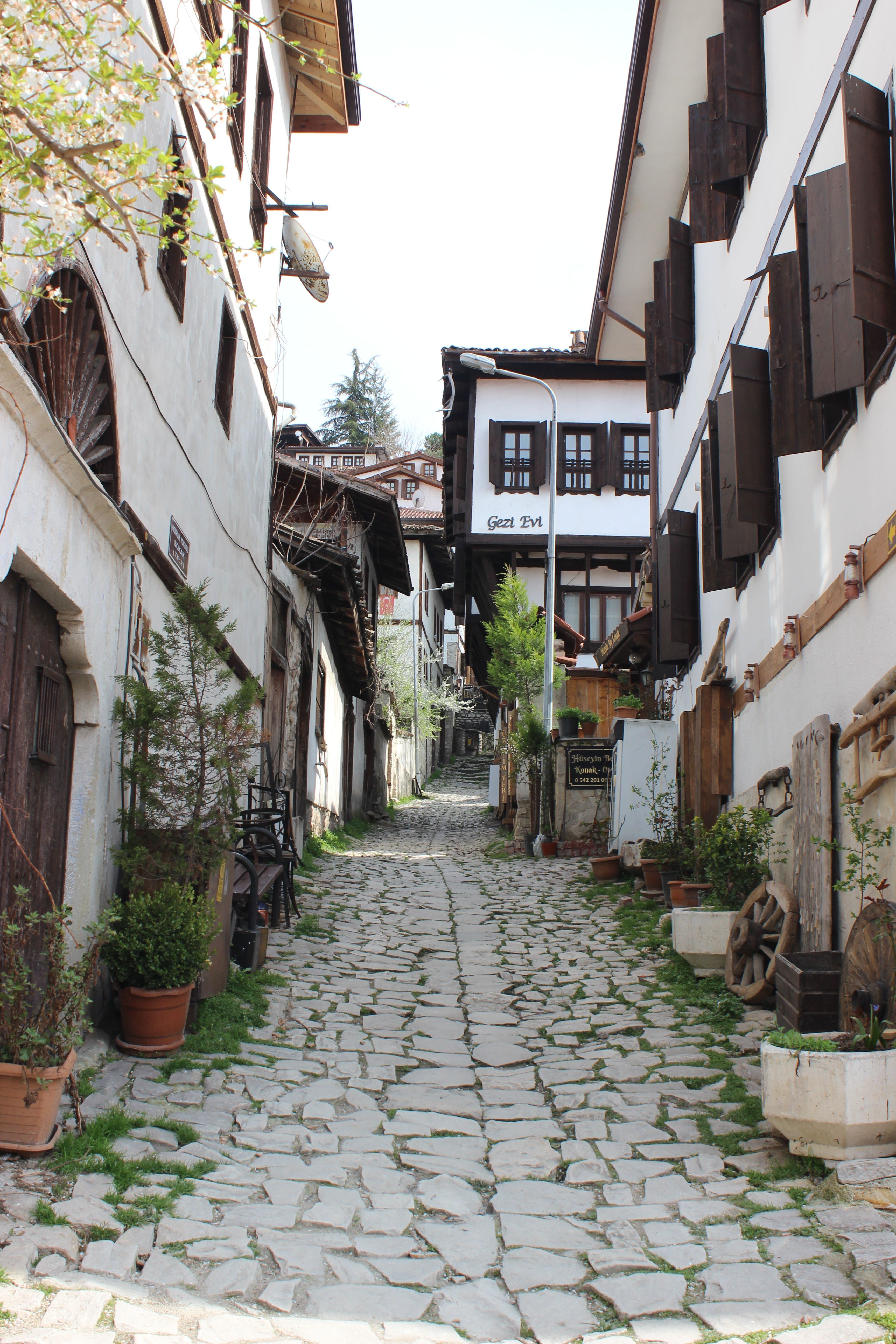 Turkey Street Photos, Download The BEST Free Turkey Street Stock Photos ...