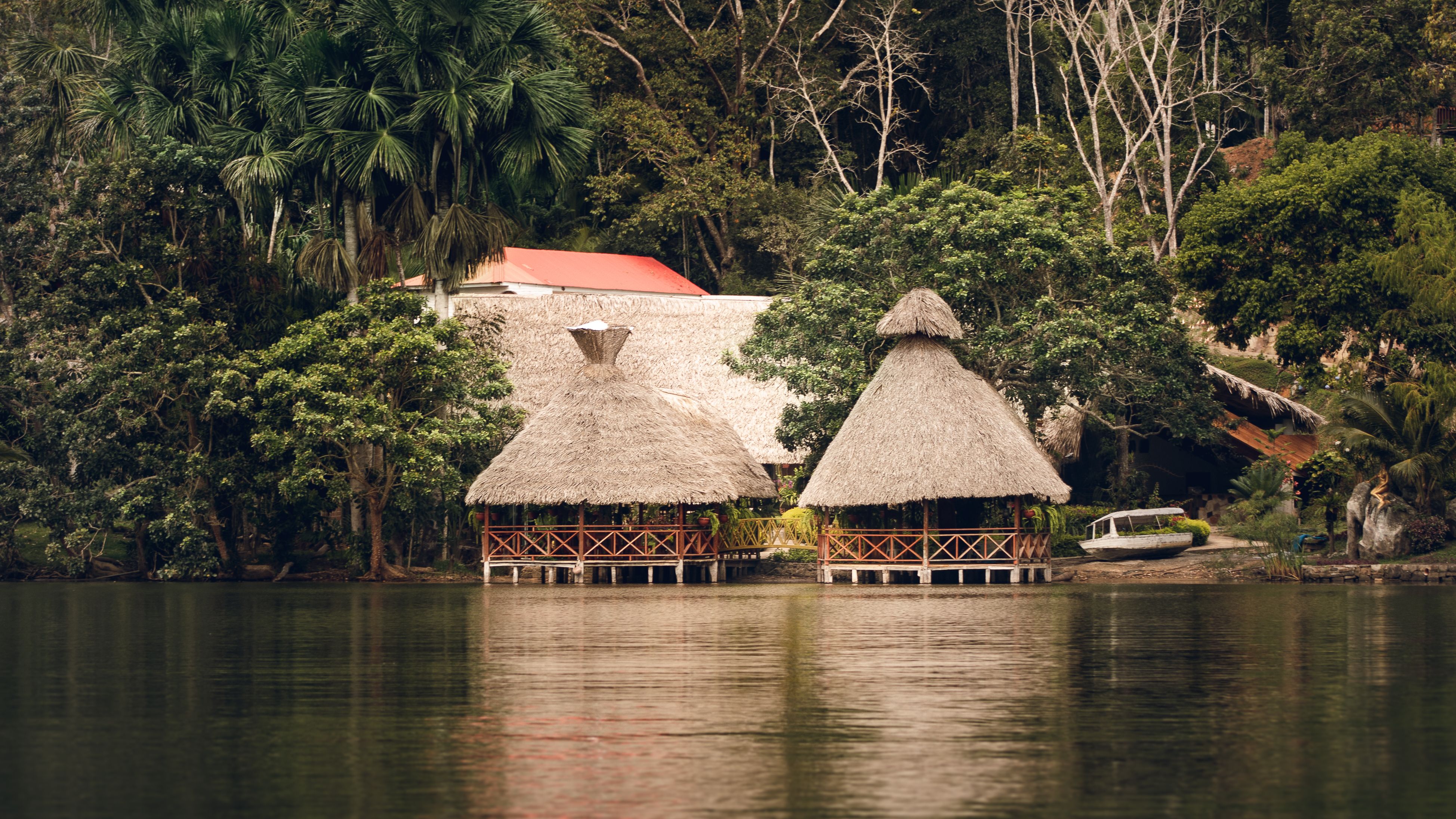 Forest around Huts on Lakeshore · Free Stock Photo