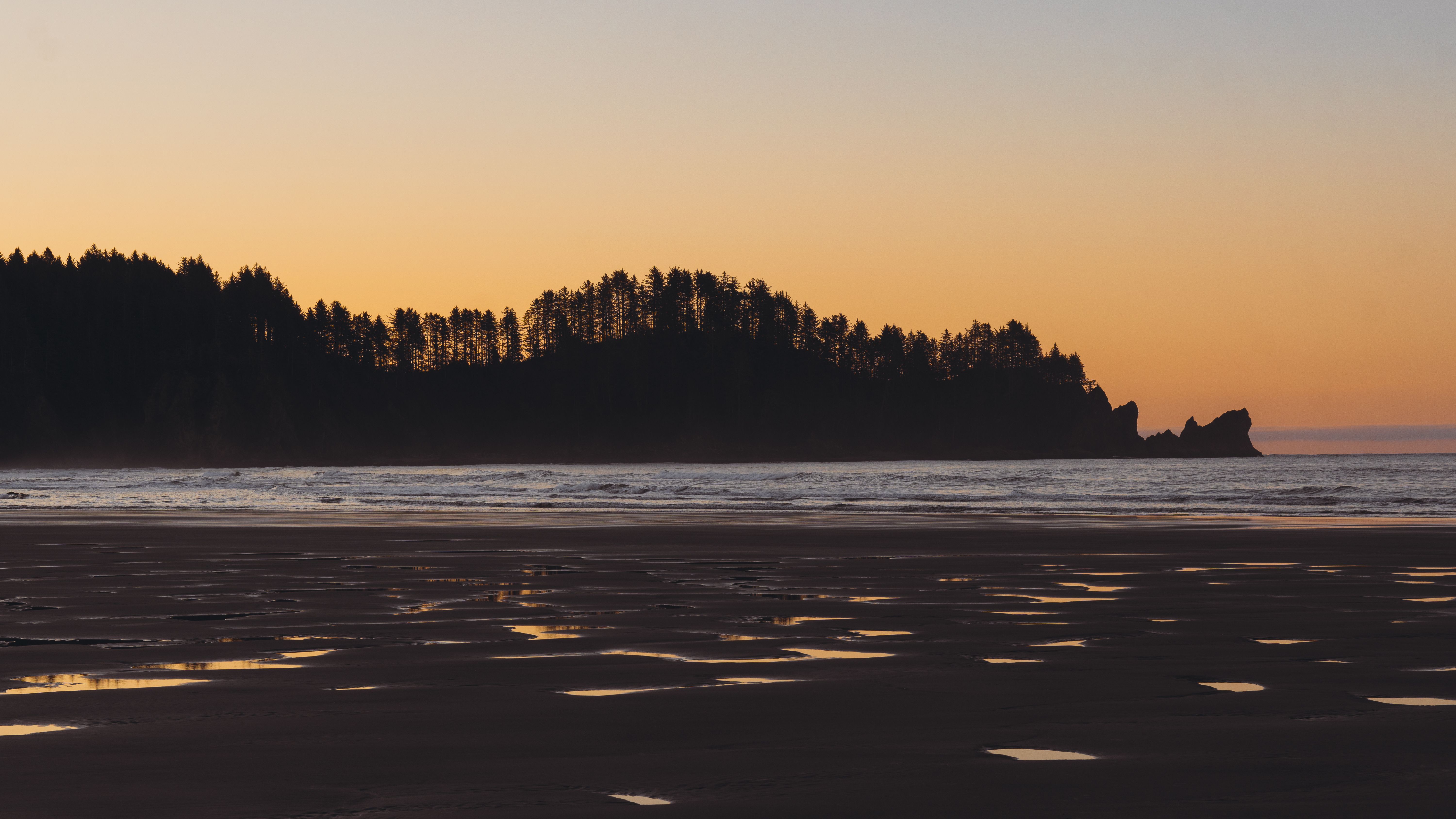 Beach at Dawn · Free Stock Photo