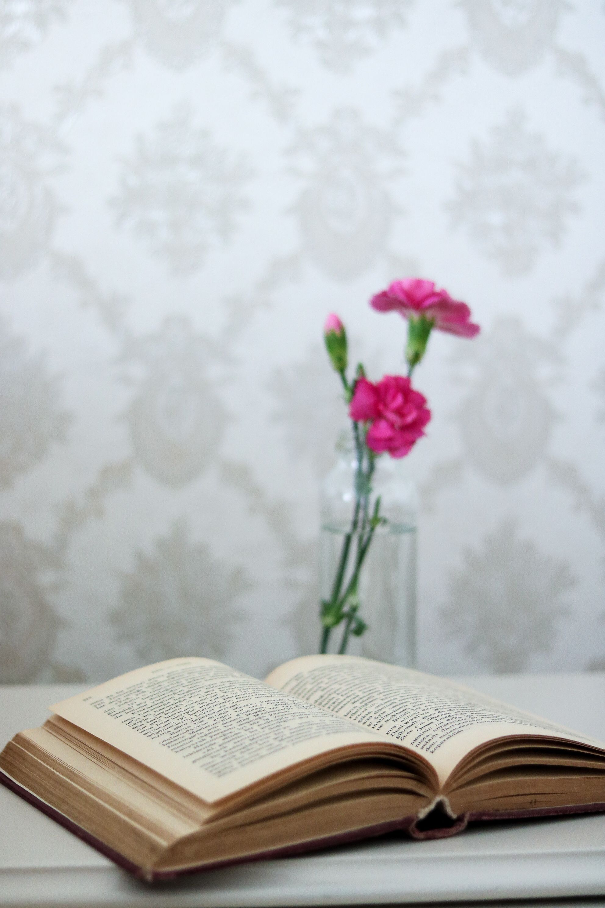 Blotting Book Photos, Download The BEST Free Blotting Book Stock Photos ...