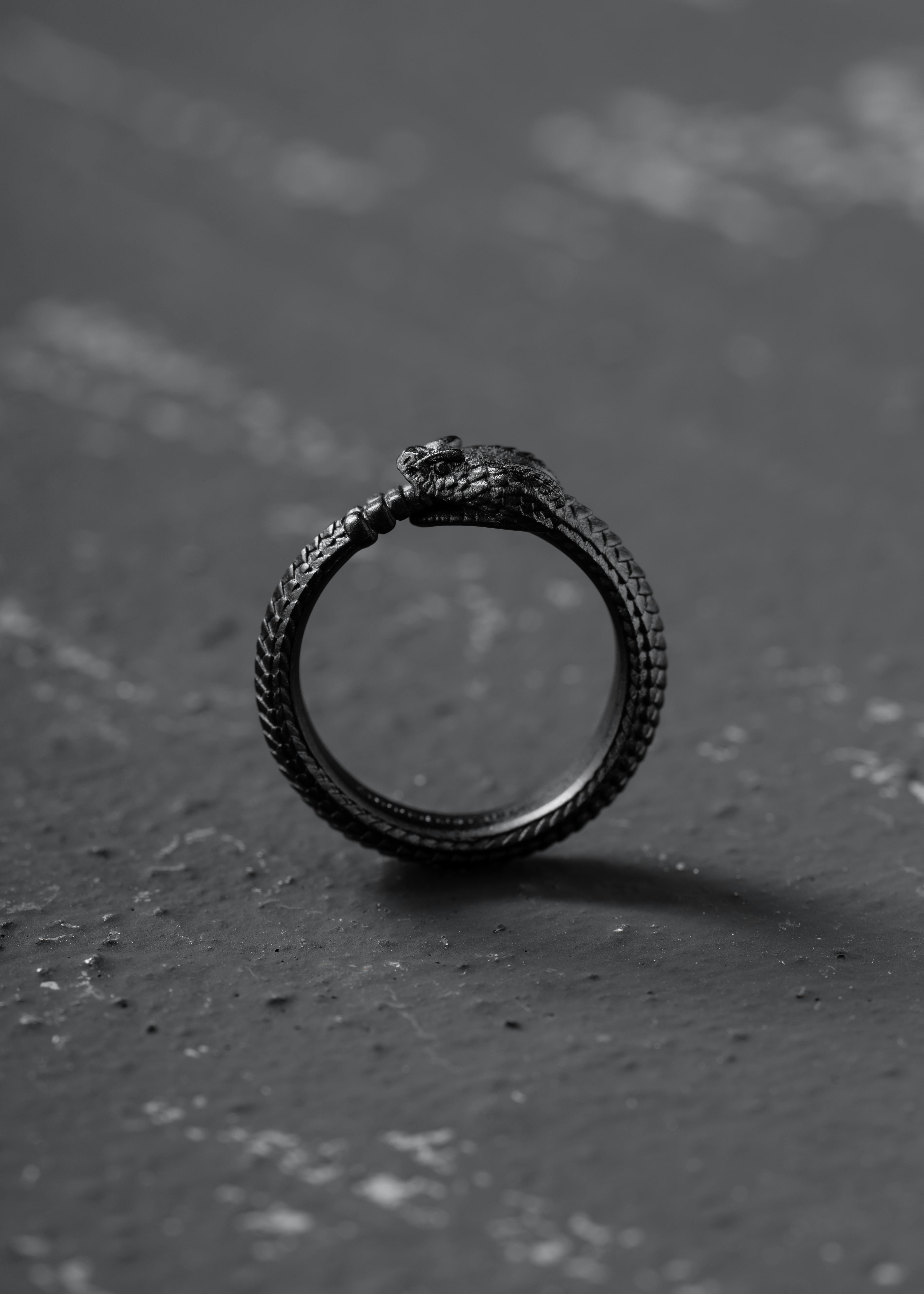 Uroboros Artwork Ring · Free Stock Photo