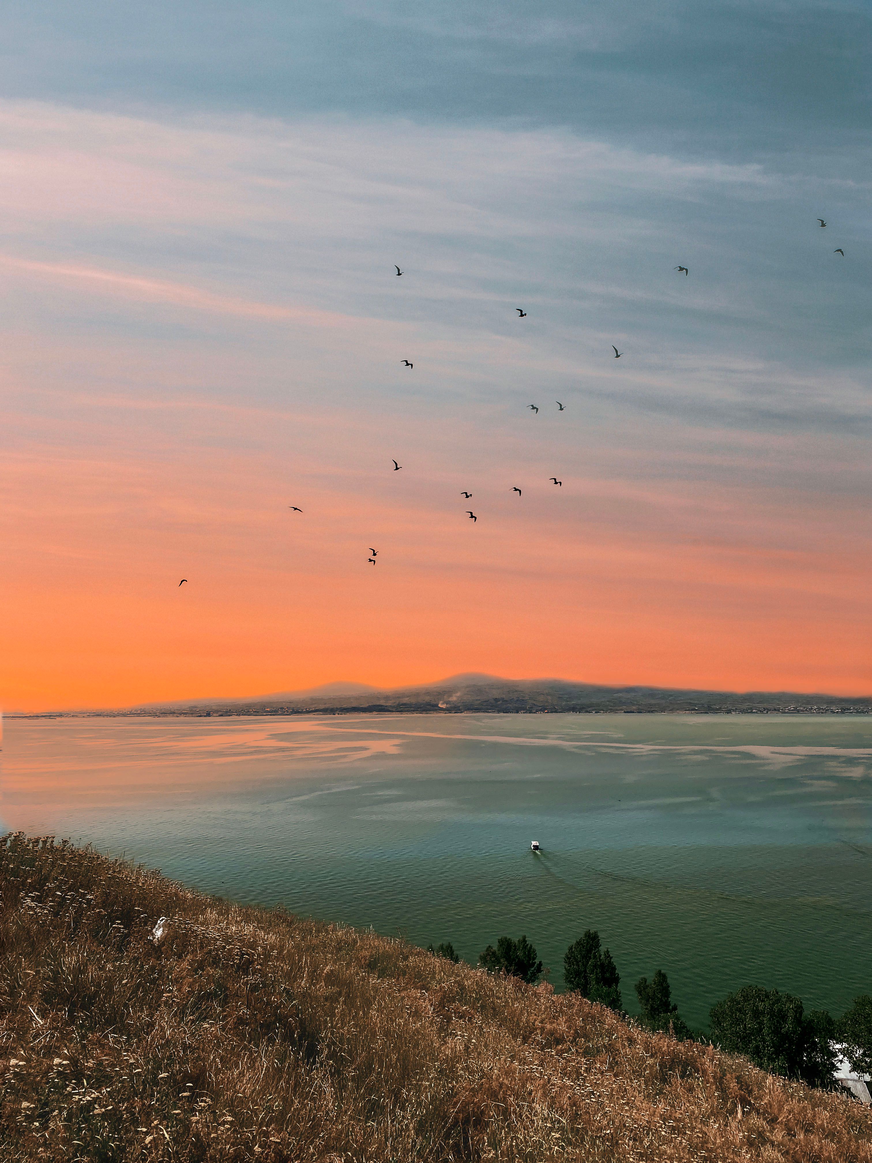 Red Sky over Sea Shore · Free Stock Photo