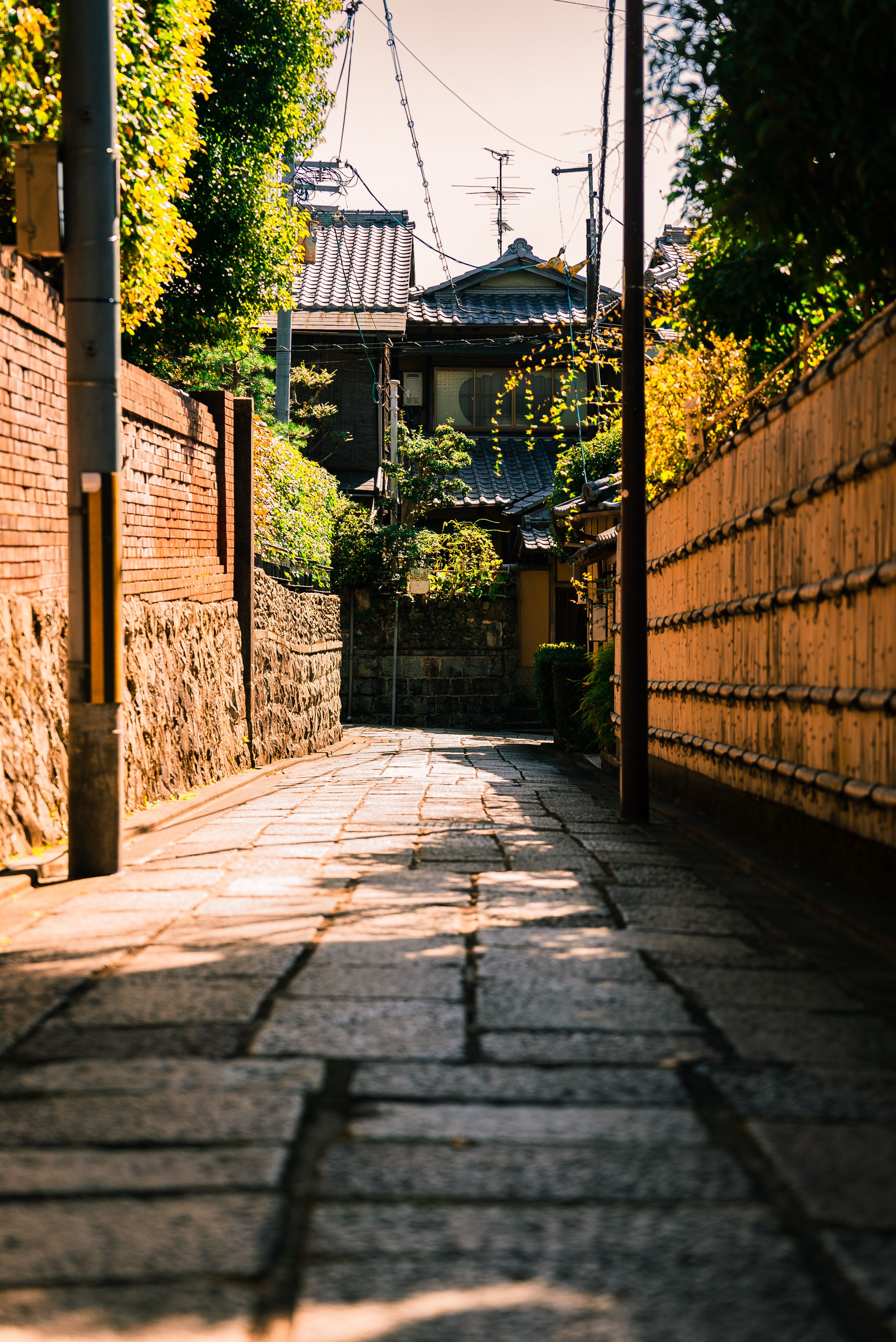 Pavement on Alley in Town · Free Stock Photo