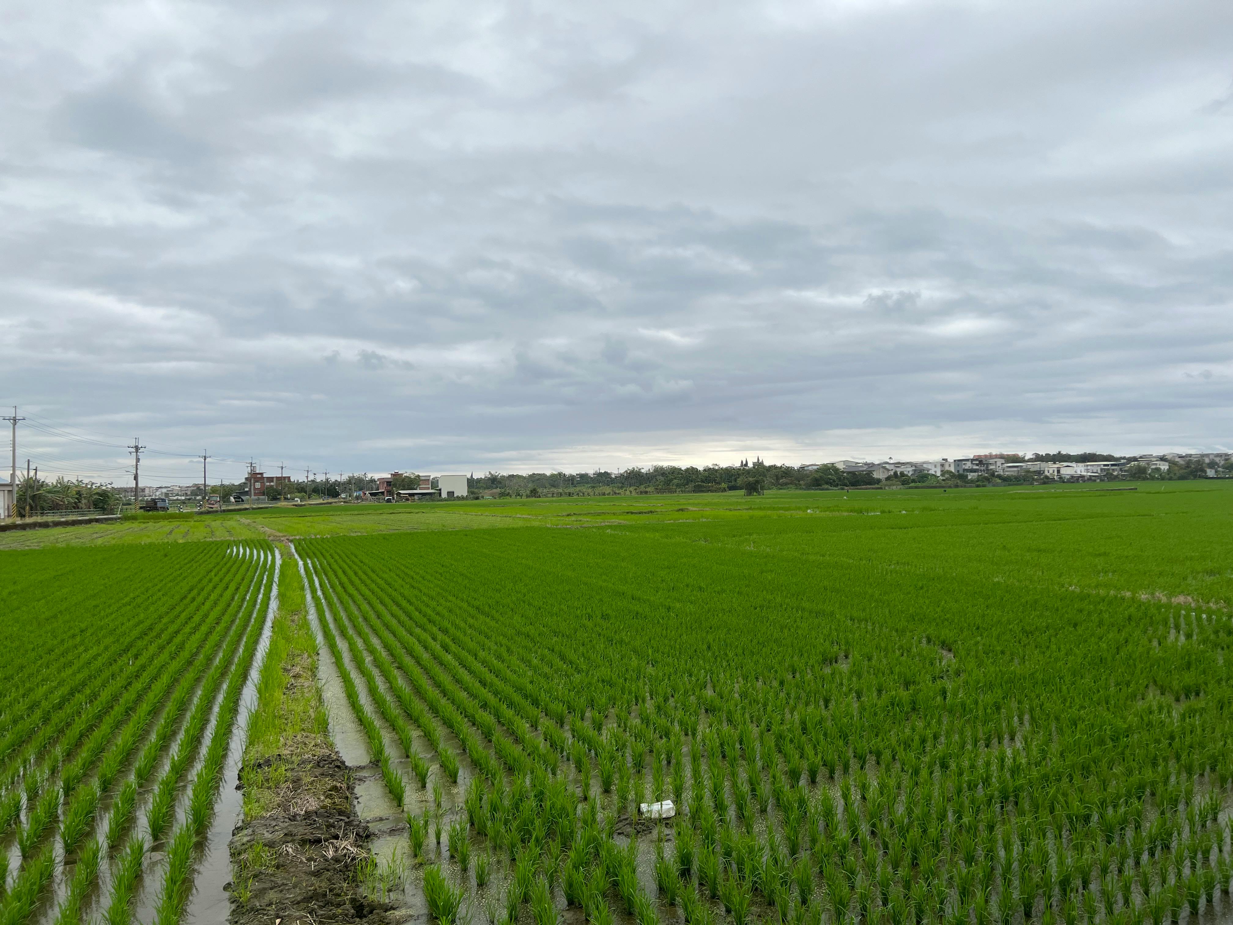 Owen Yu – Fotografia