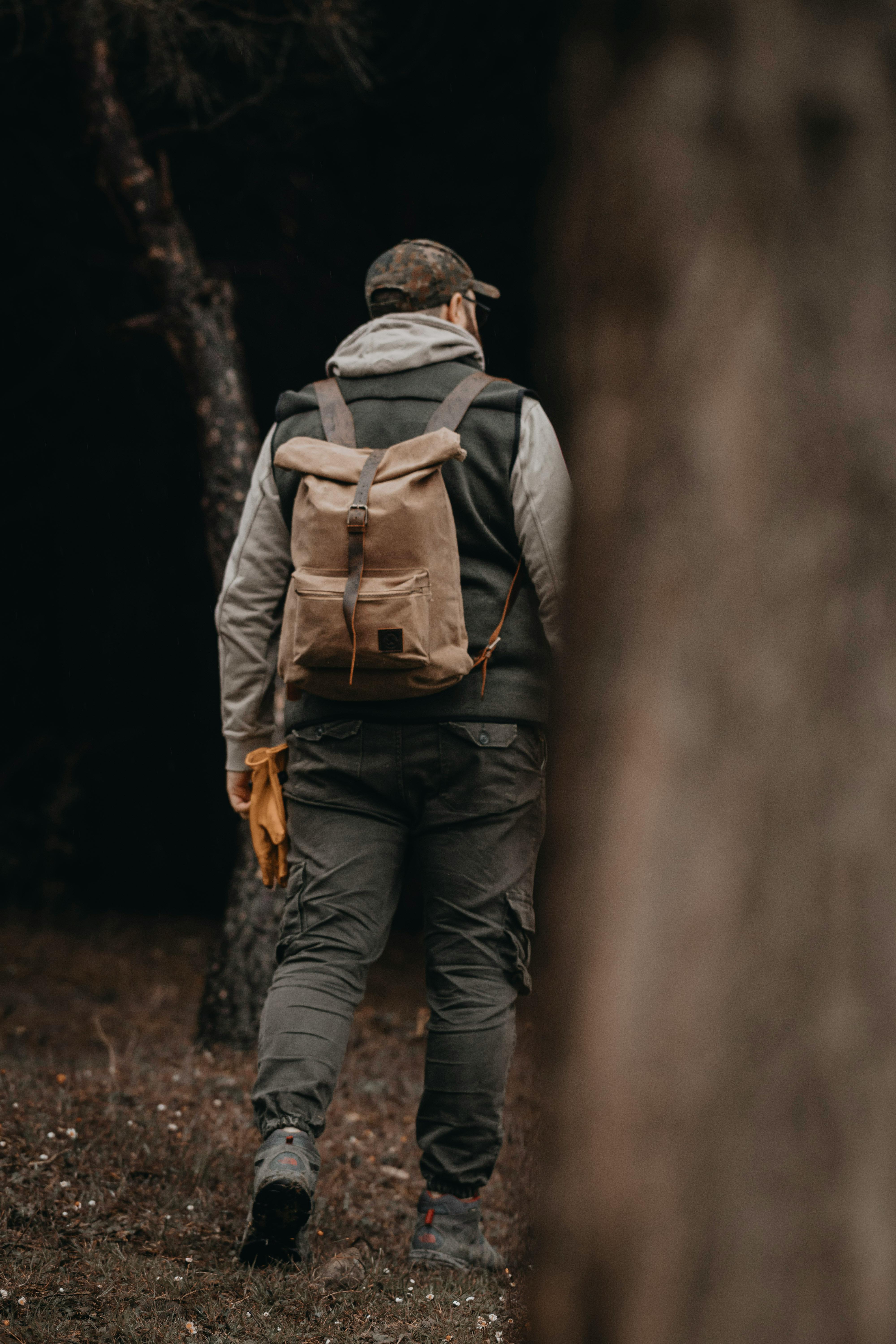 Forest Tree Photos, Download The BEST Free Forest Tree Stock Photos ...