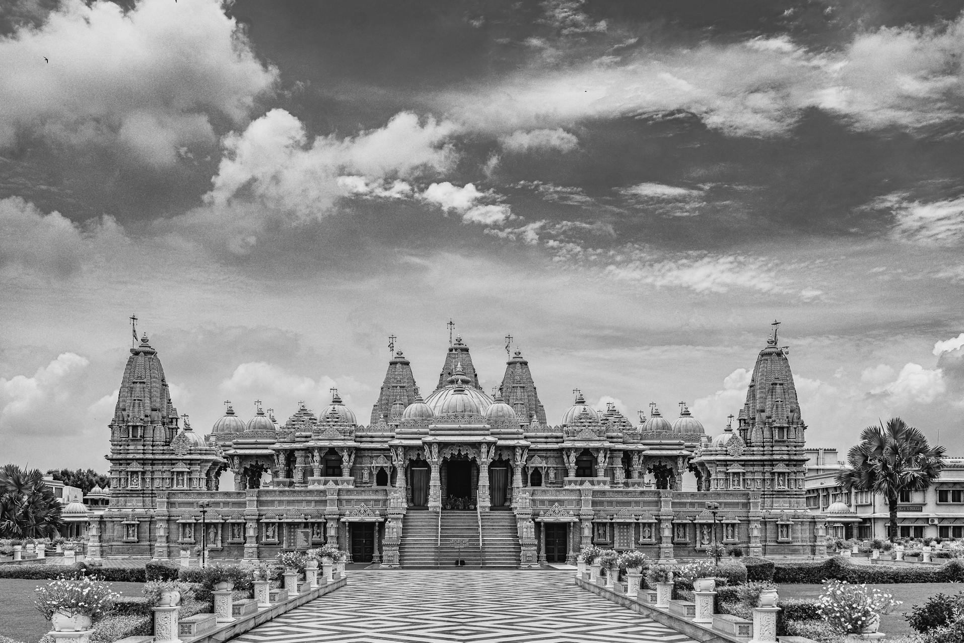 Understanding What Are BBPs and Transmission Risks Explained