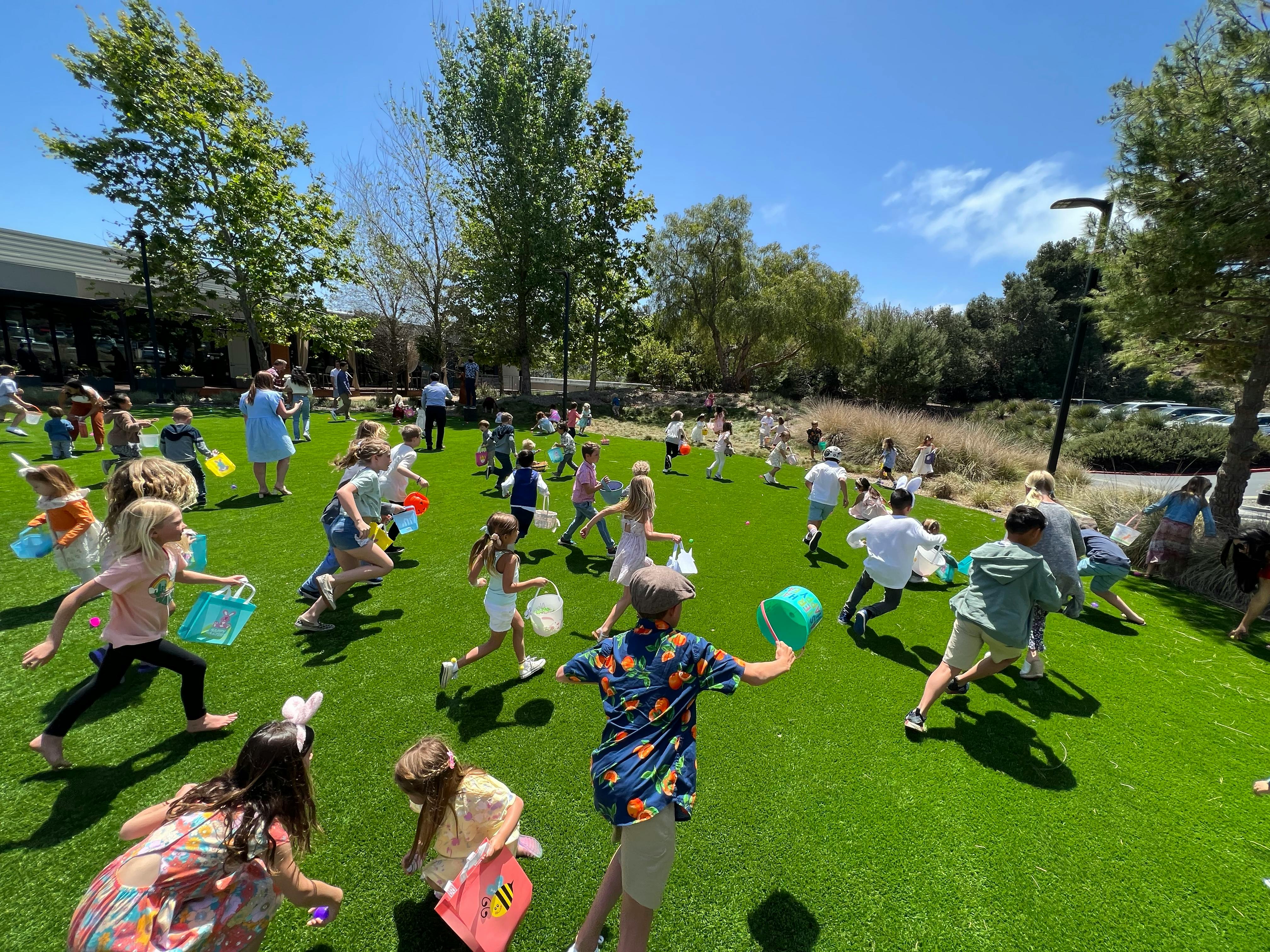Children Playing a Game Outside · Free Stock Photo