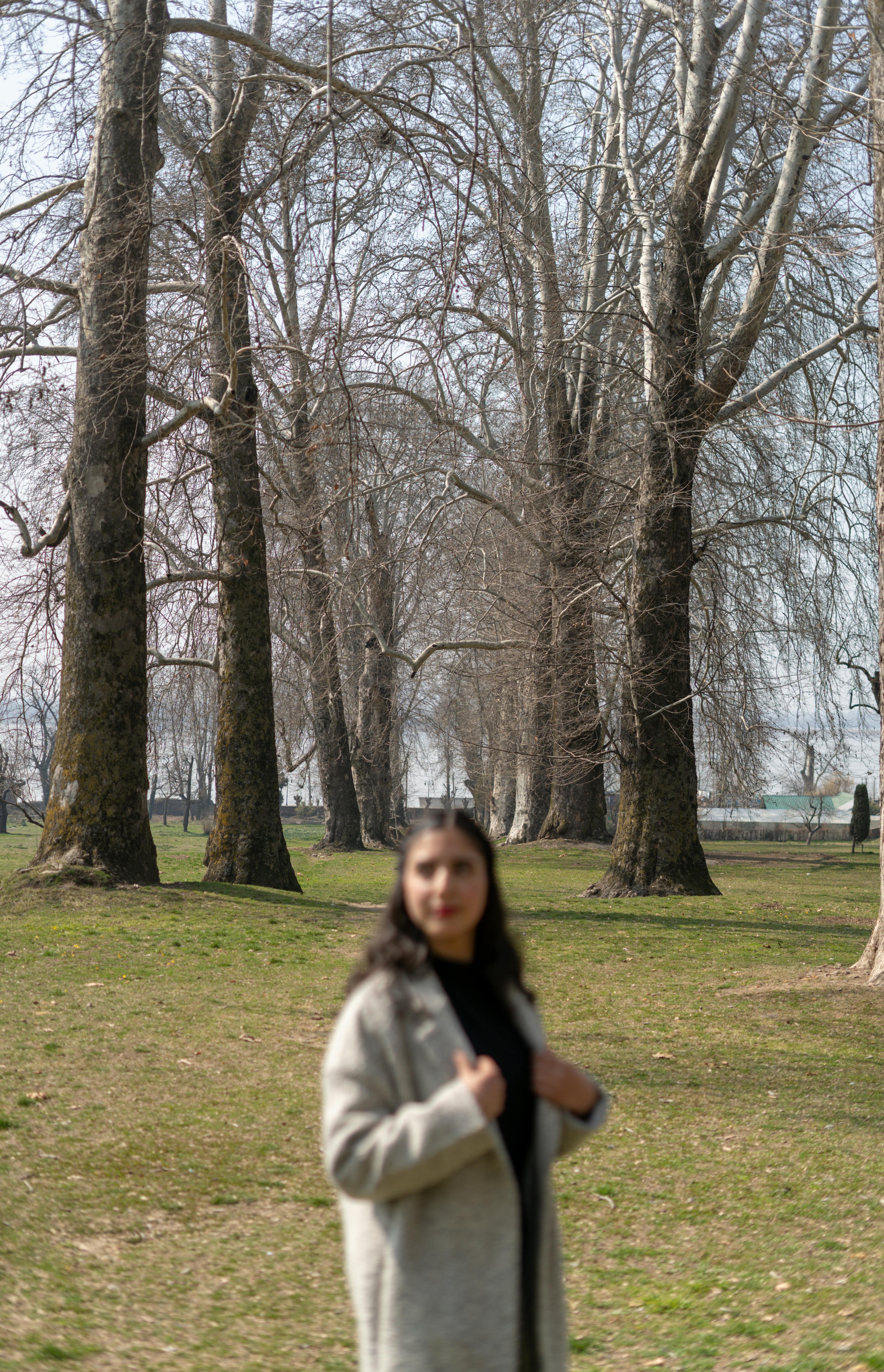 Woman and Trees · Free Stock Photo