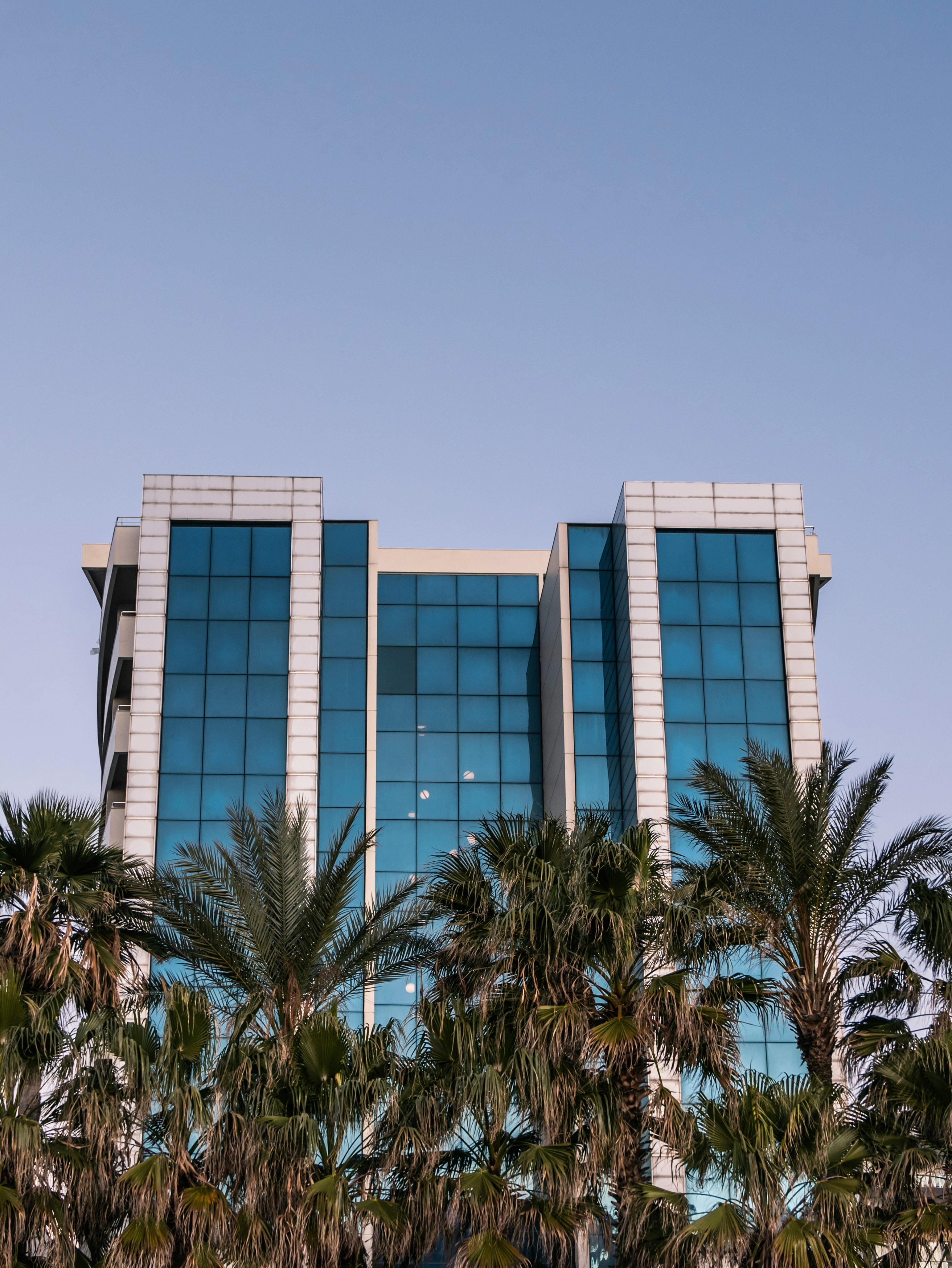 Modern House and Palm Tree · Free Stock Photo