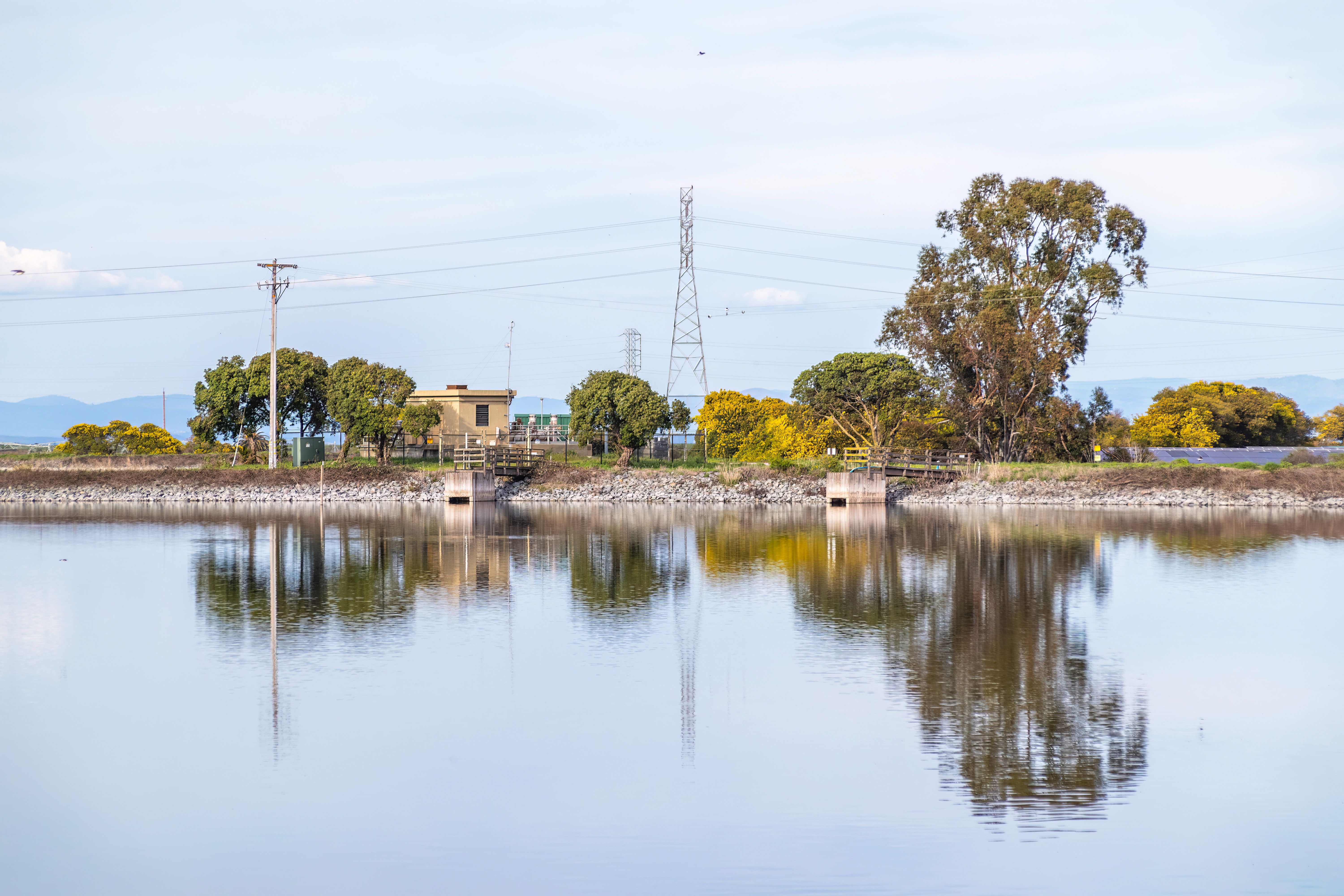 Trees Reflection in Water on Shore · Free Stock Photo