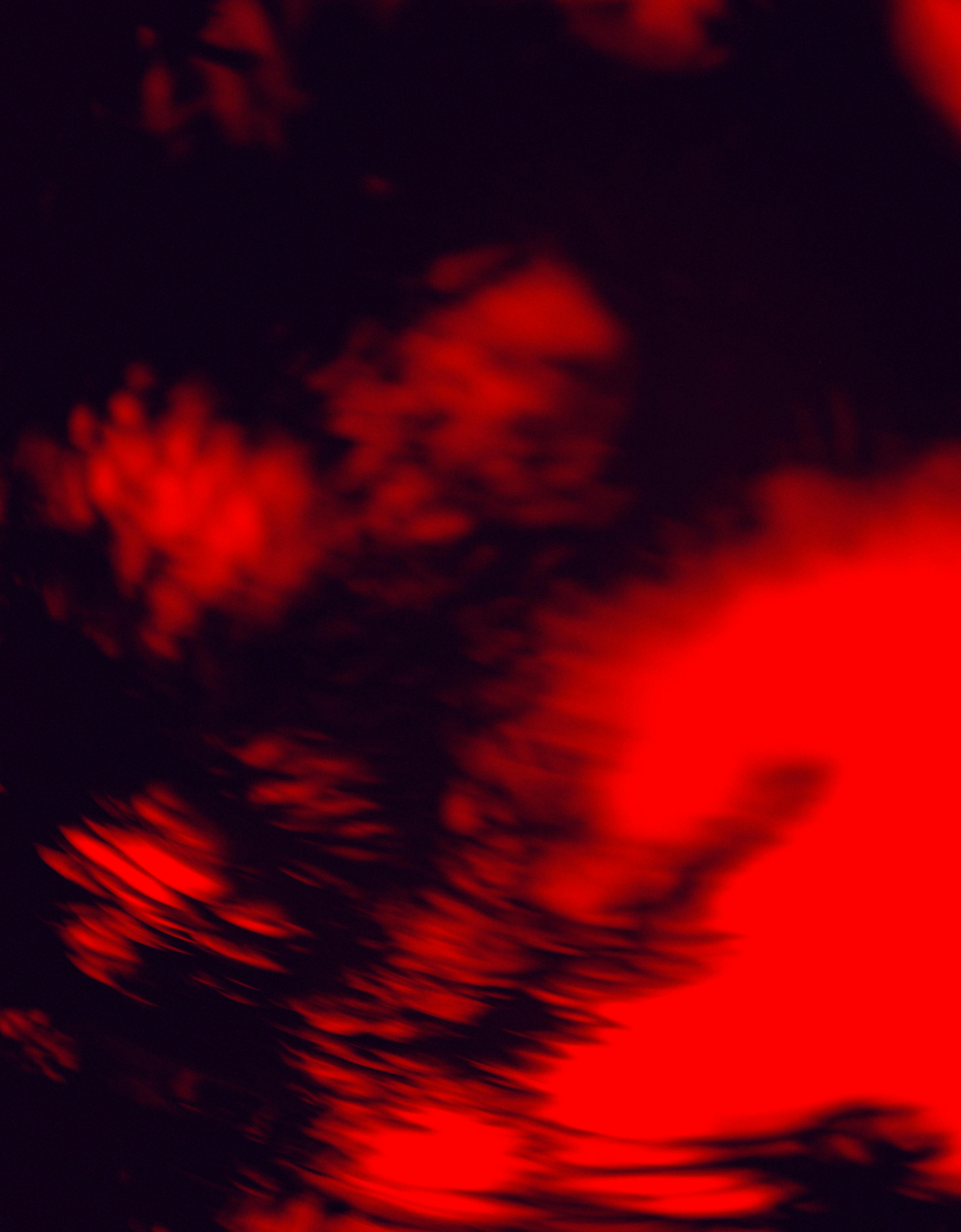 Carly O'Neil - Photography