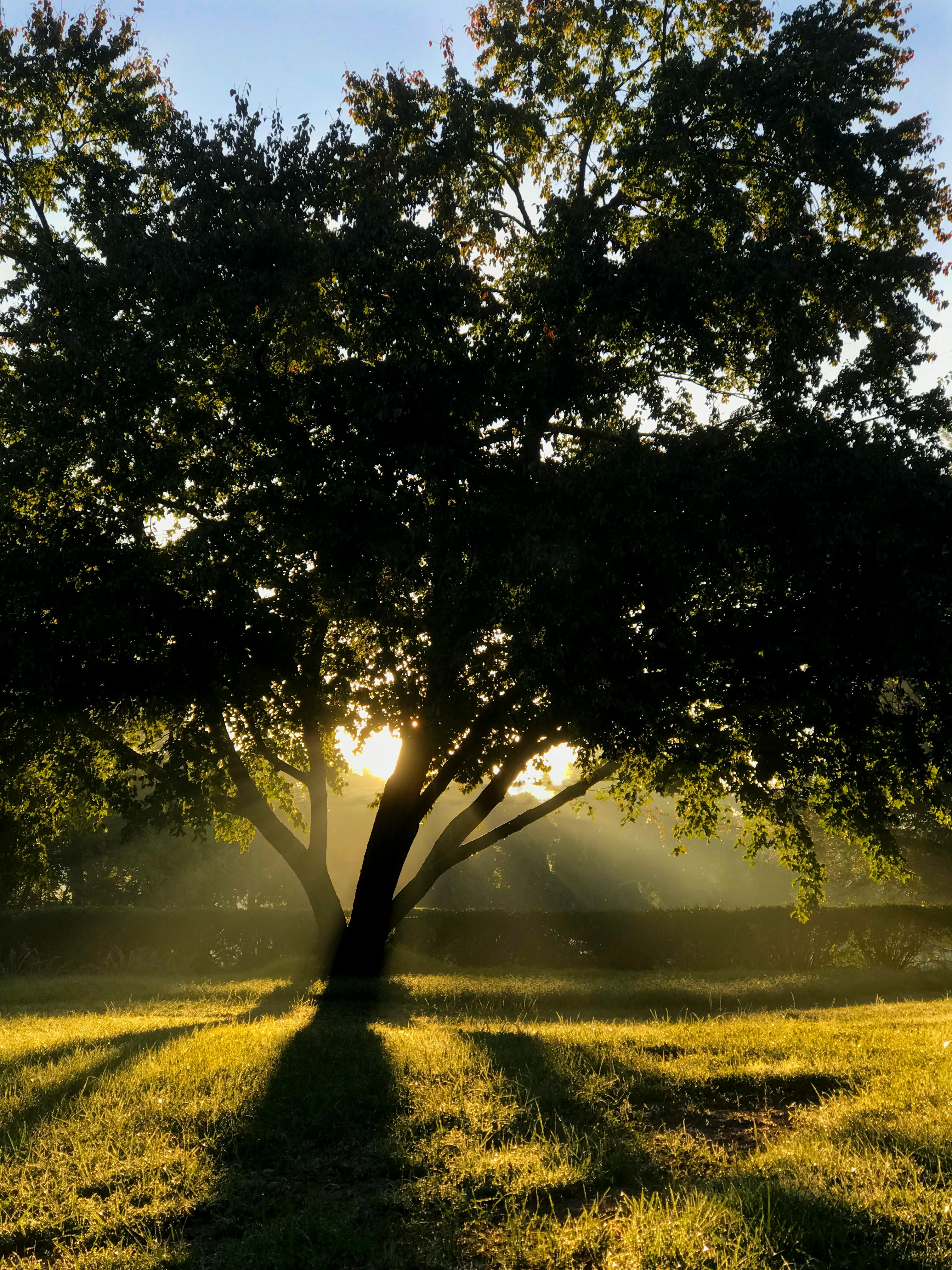 Lynn Nash - Photography